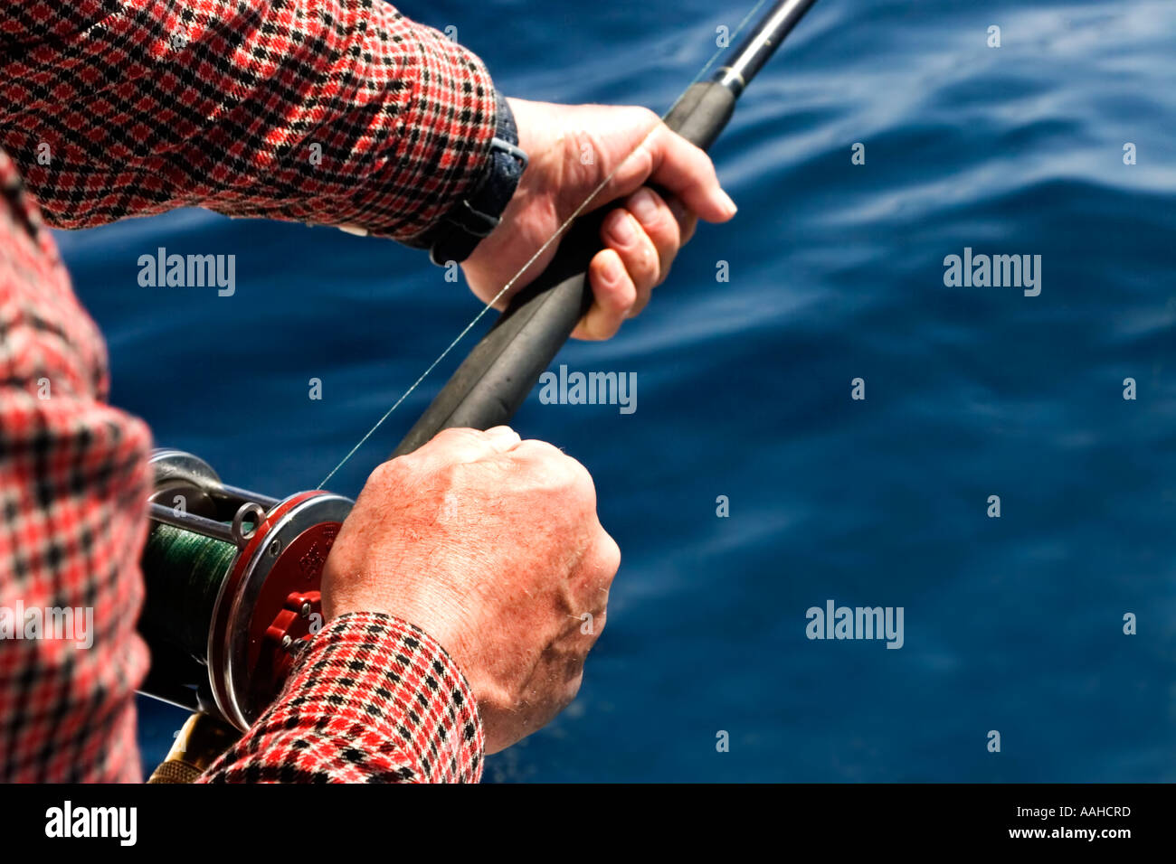 Fishing hands holding pole blue ocean Stock Photo - Alamy