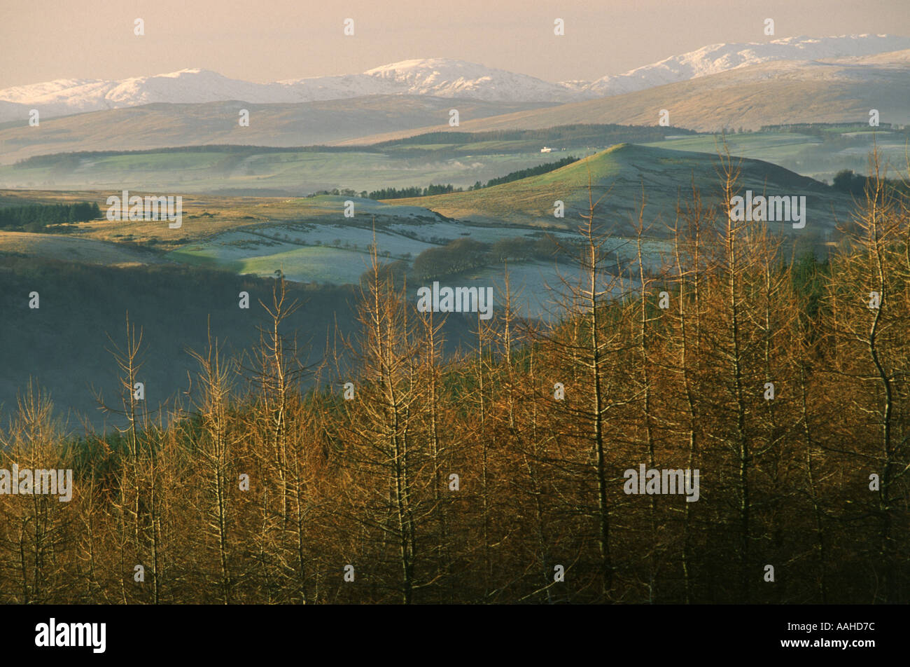 Blane valley hi-res stock photography and images - Alamy