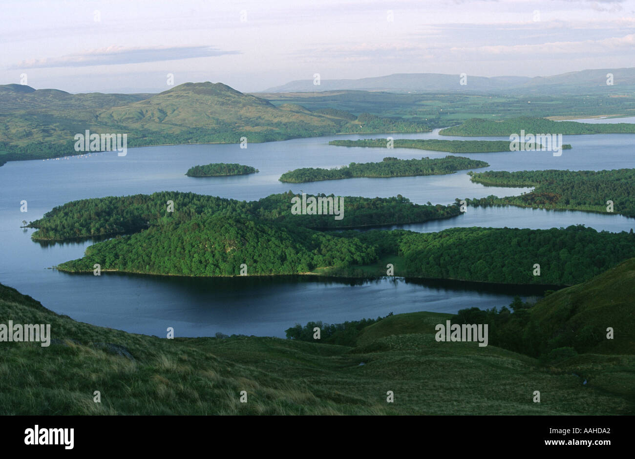 Islands of Loch Lomond Scotland Stock Photo - Alamy