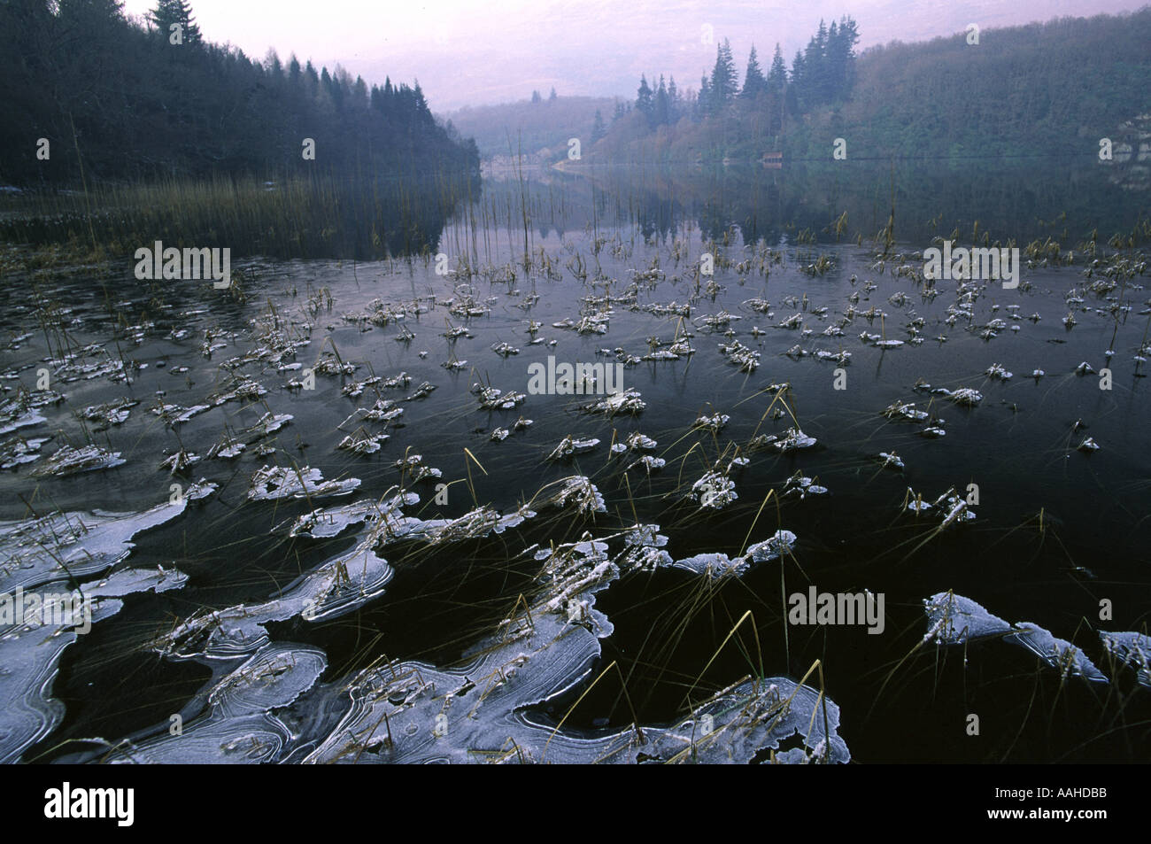 Loch Ard The Trossachs Stirlingshire Scotland Stock Photo - Alamy