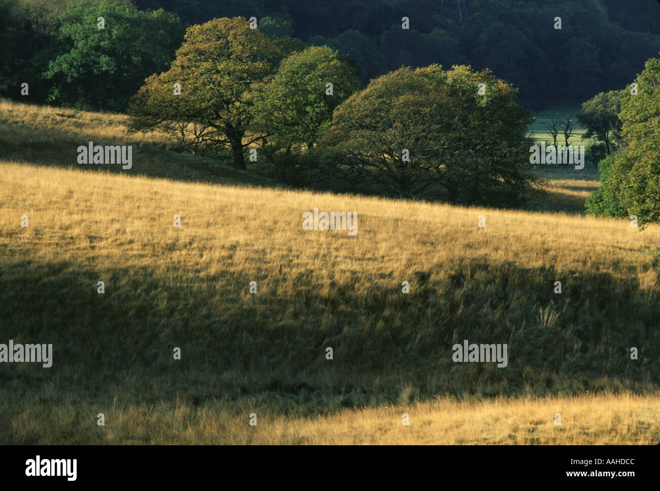 Blane valley hi-res stock photography and images - Alamy