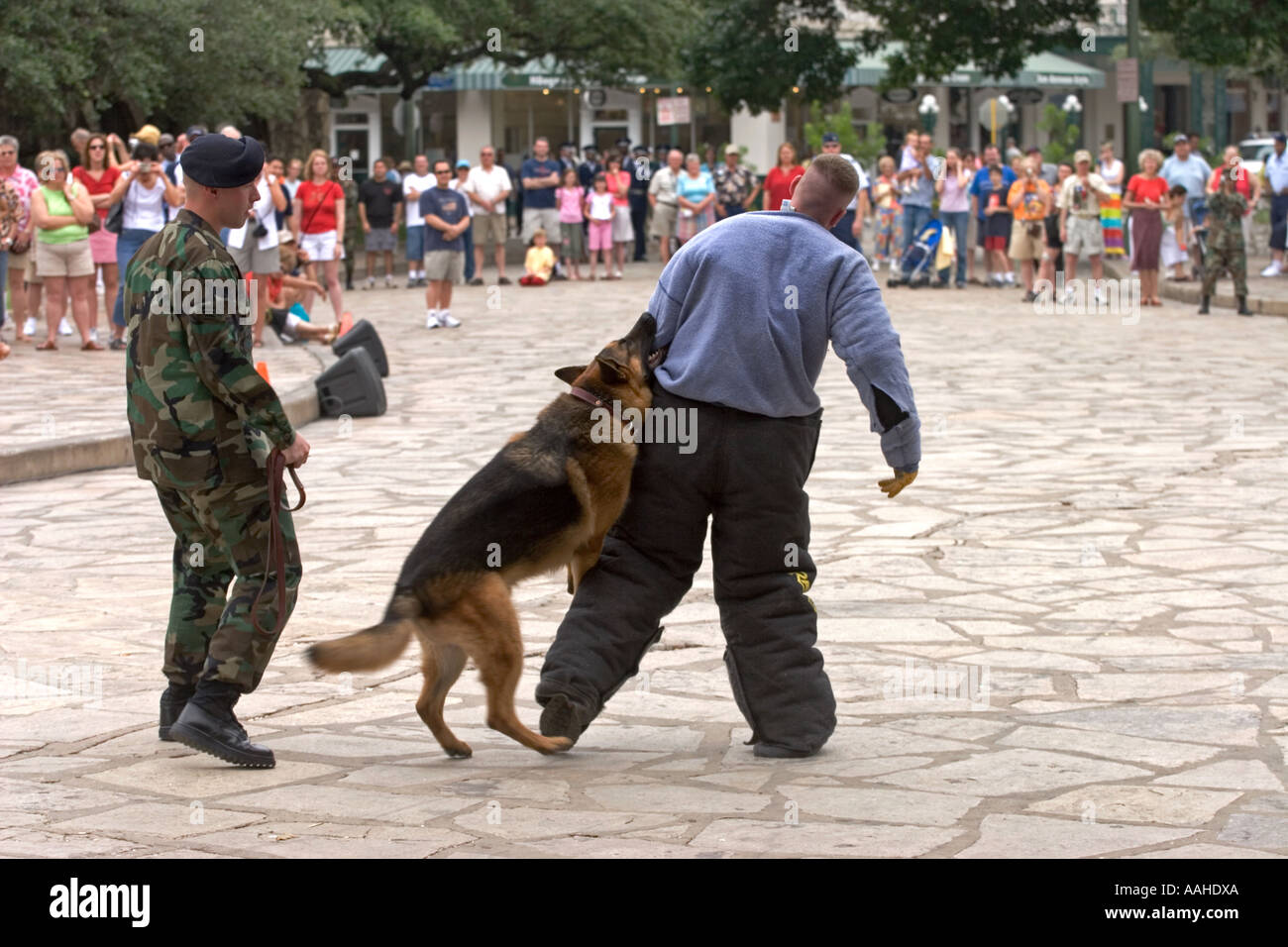Police Attack Dogs