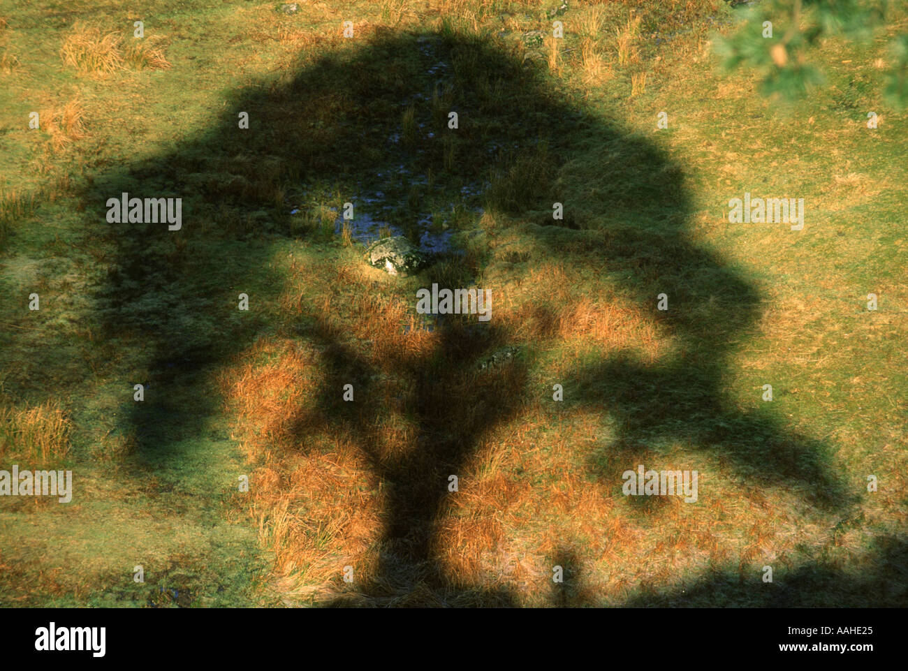 Blane valley hi-res stock photography and images - Alamy