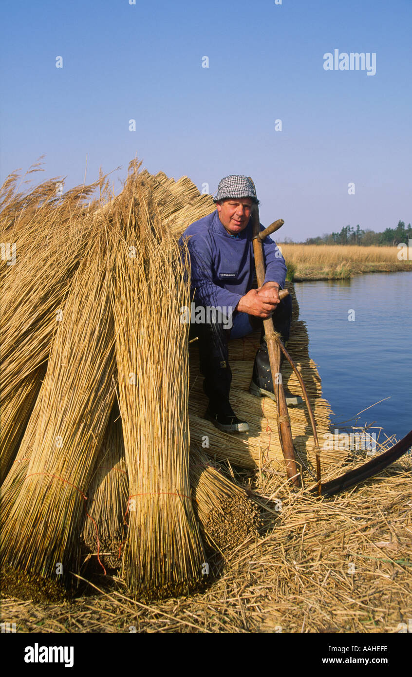 Marshman Sitting with Cut Reed Sheaves Stock Photo - Alamy