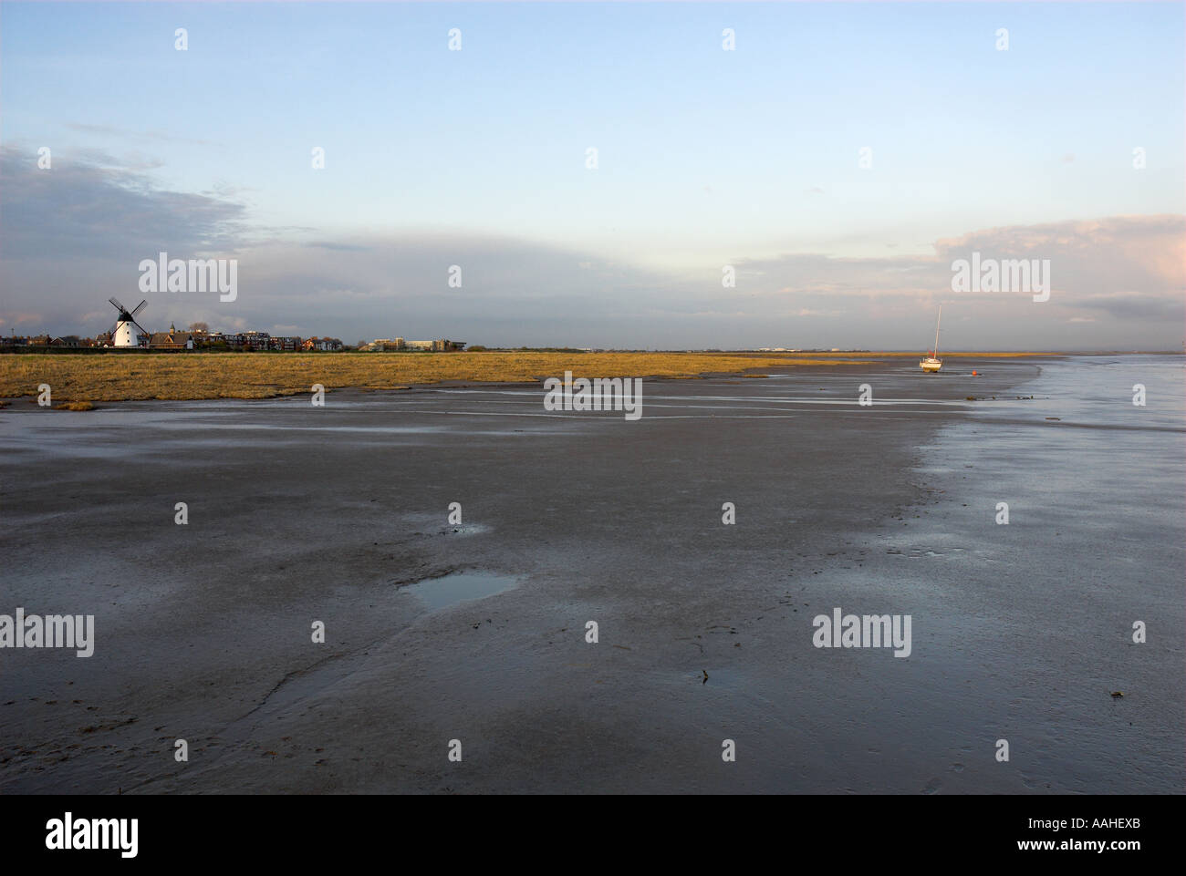 Ribble estuary birds hi-res stock photography and images - Alamy