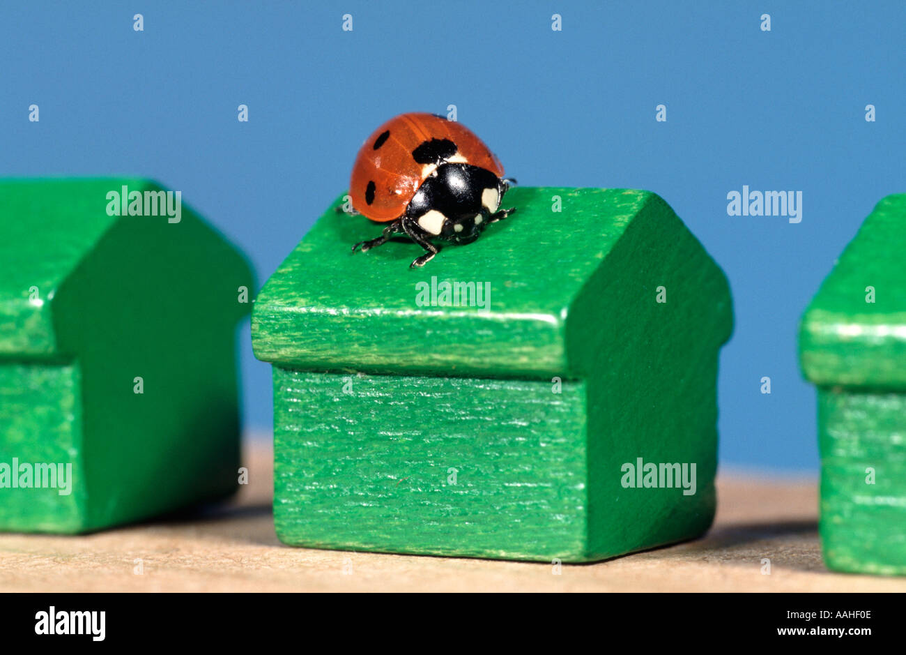 Ladybird on Wooden Model Monopoly House Stock Photo - Alamy