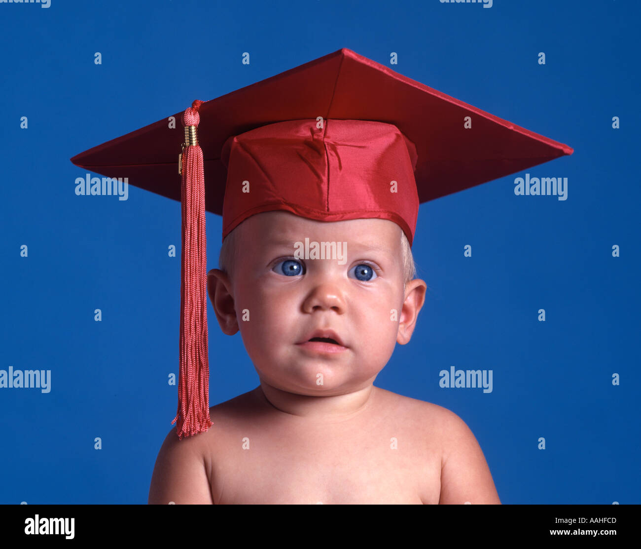 Baby graduation cap graduate hi-res stock photography and images - Alamy