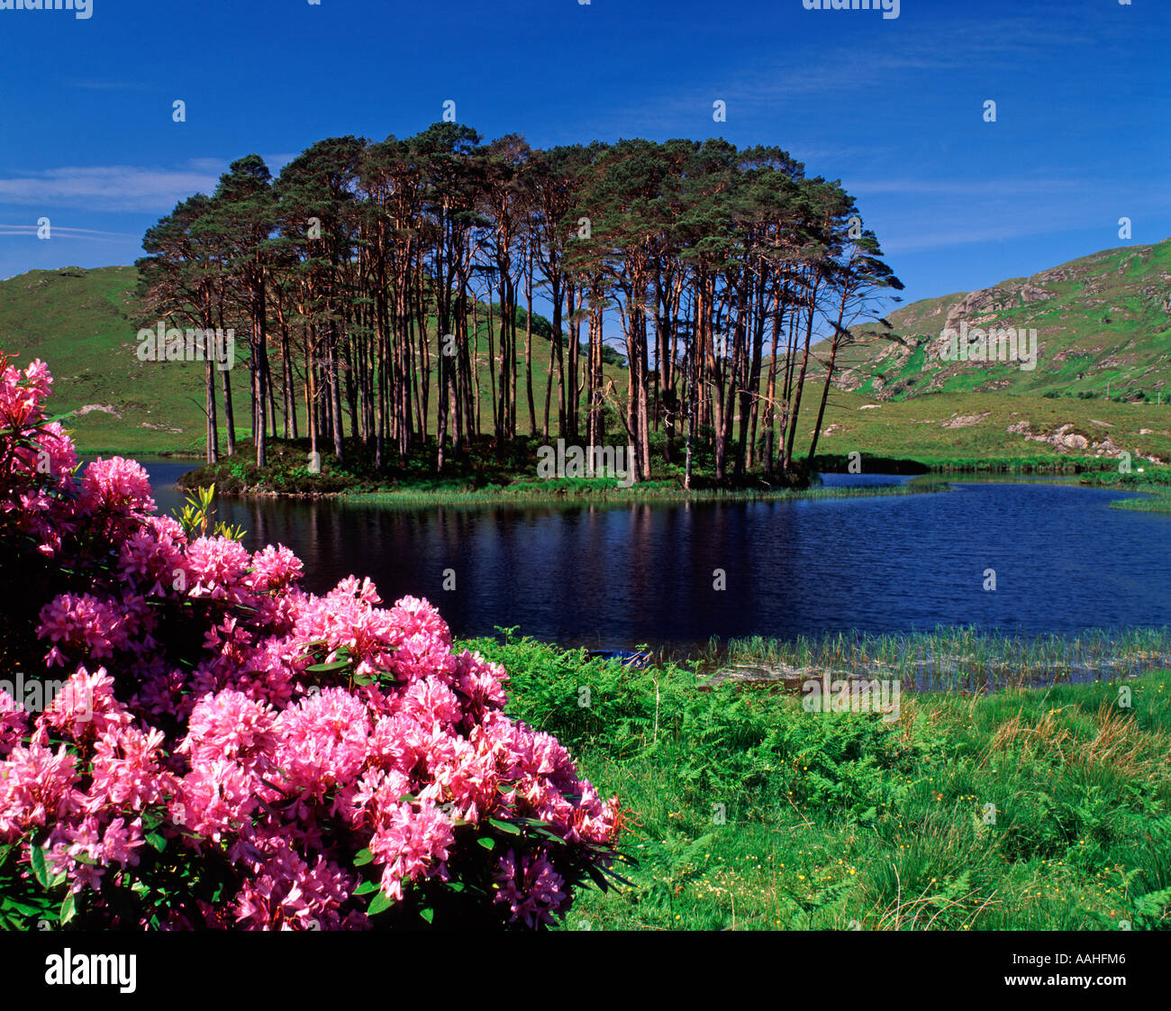 Highlands loch hi-res stock photography and images - Alamy
