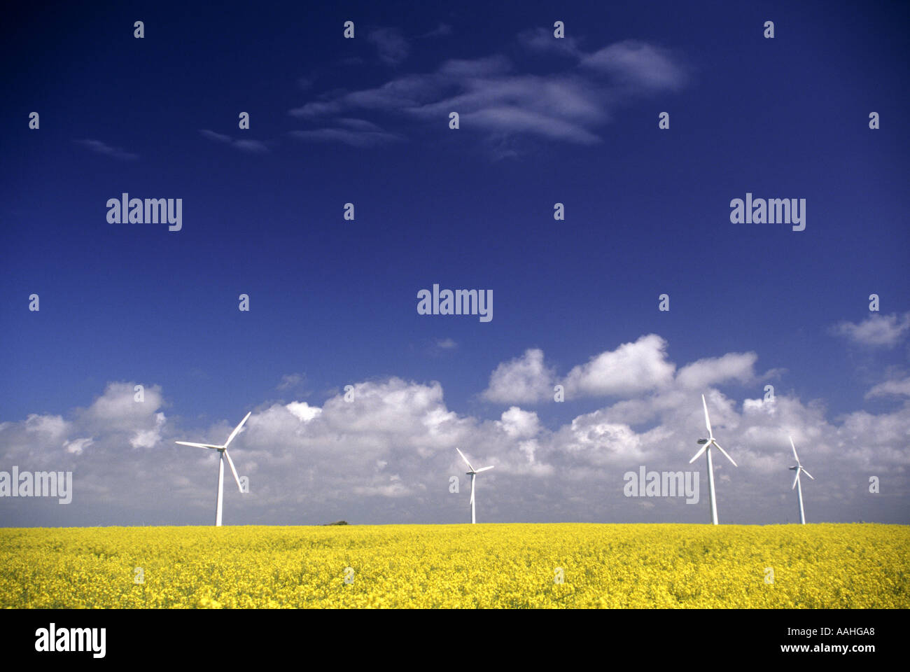 windpark wind turbine mill Europe Denmark landscape Jutland Denmark ...