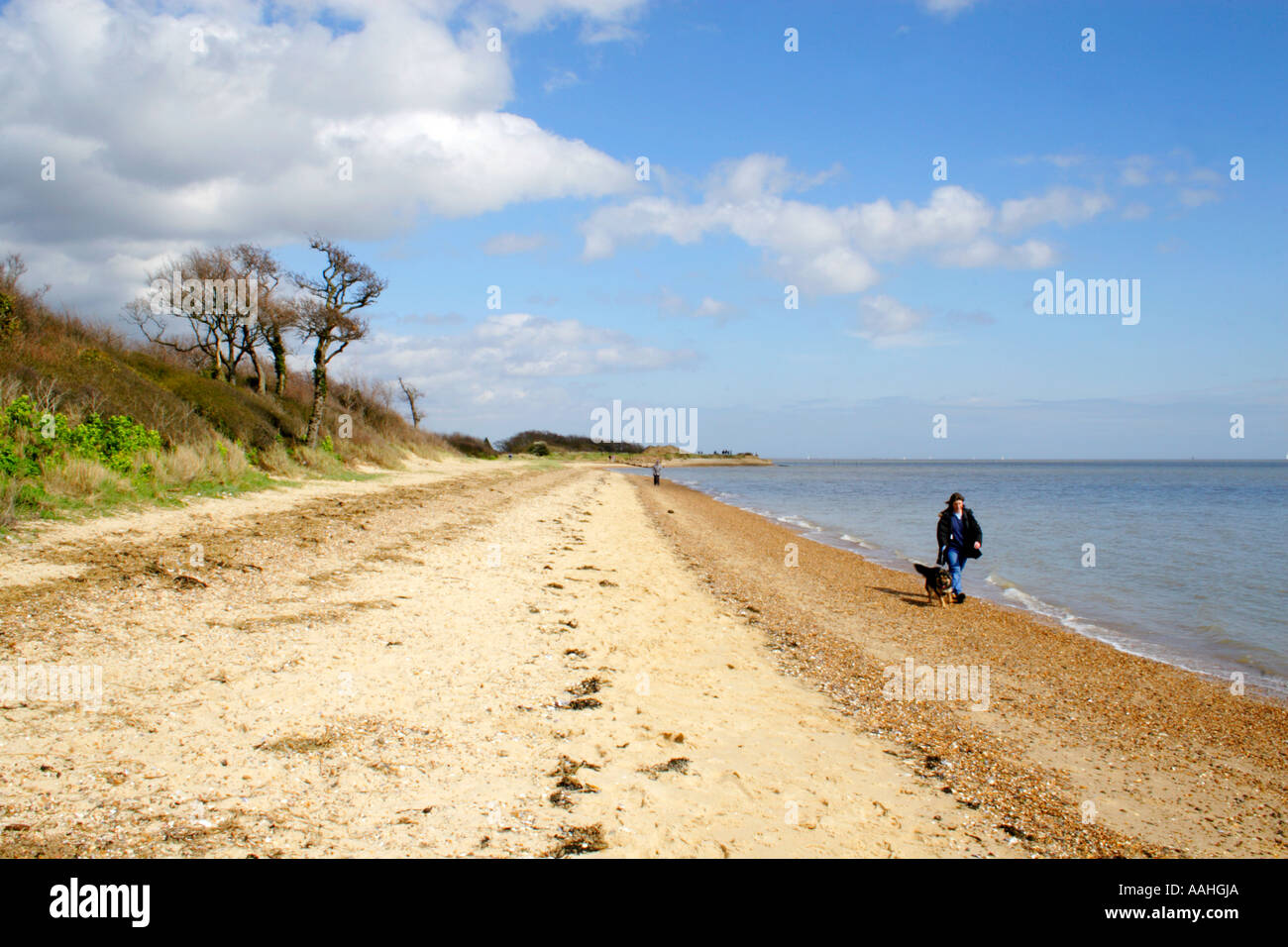 East Mersea sandy beach Essex Stock Photo - Alamy