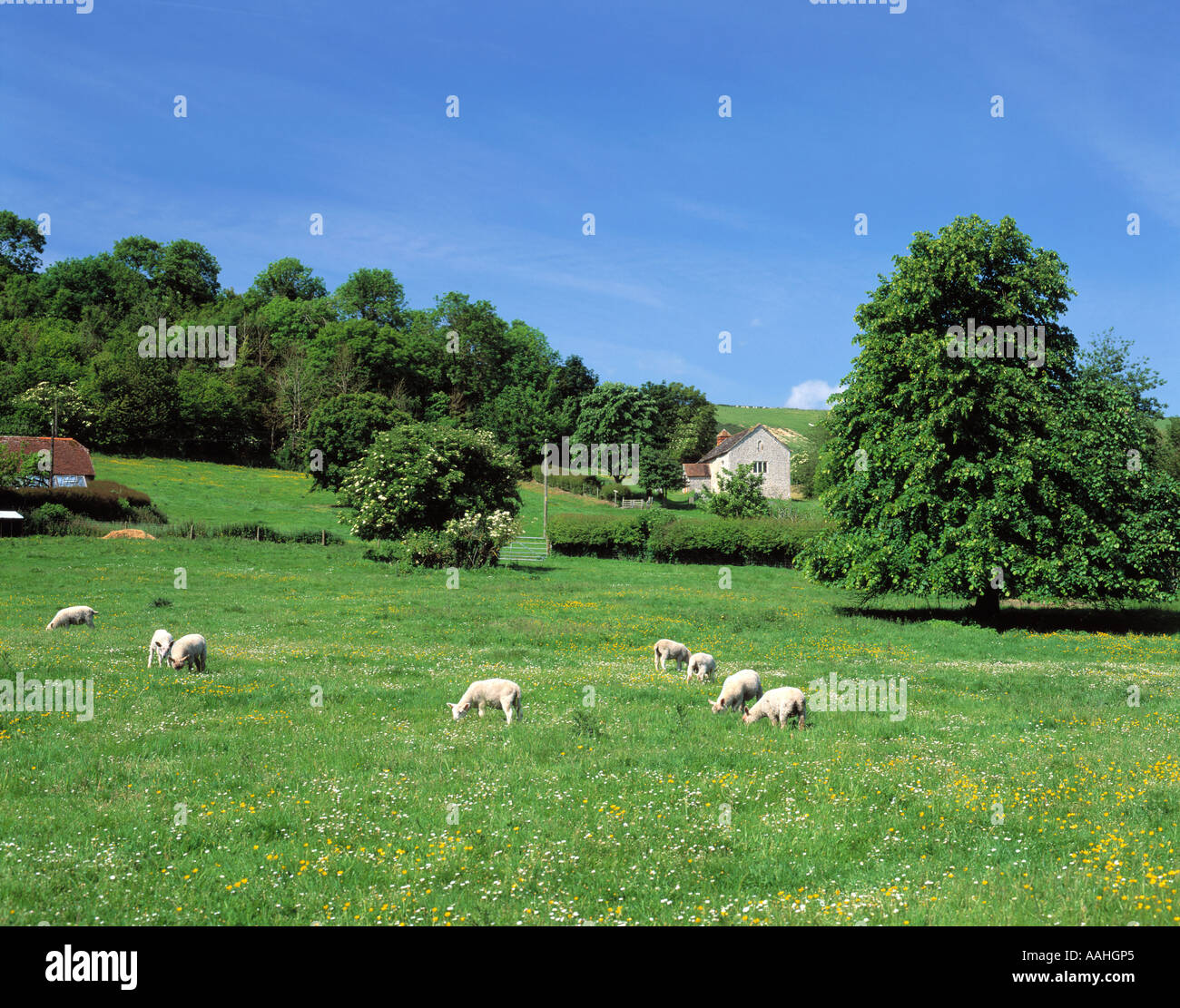 GB SUSSEX ADUR VALLEY COOMBES CHURCH Stock Photo - Alamy