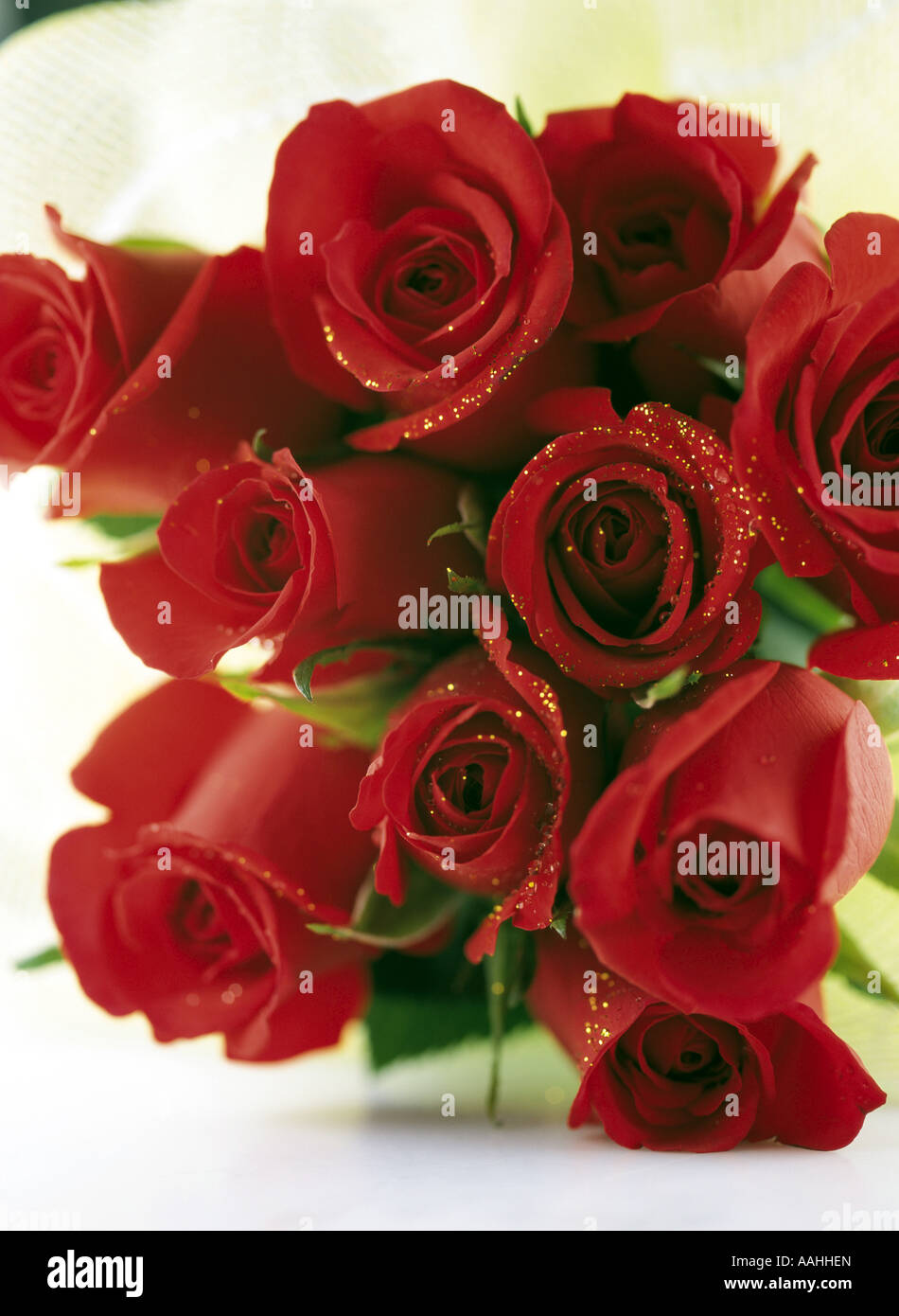 Deep red rose bud hi-res stock photography and images - Alamy