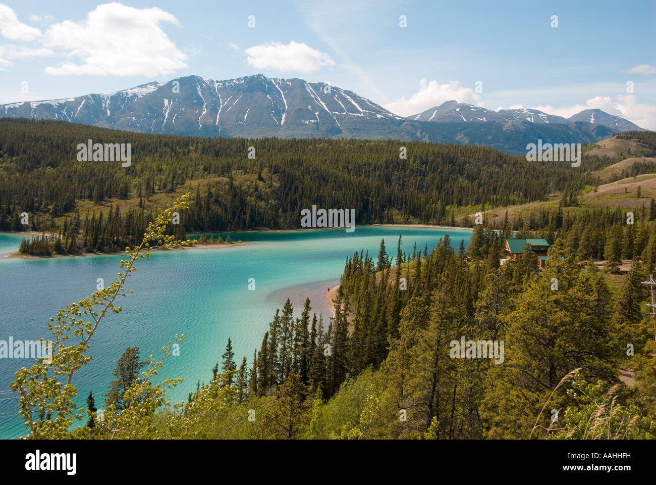 Emerald Lake in between Carcross and Whitehorse Yukon Canada Stock ...