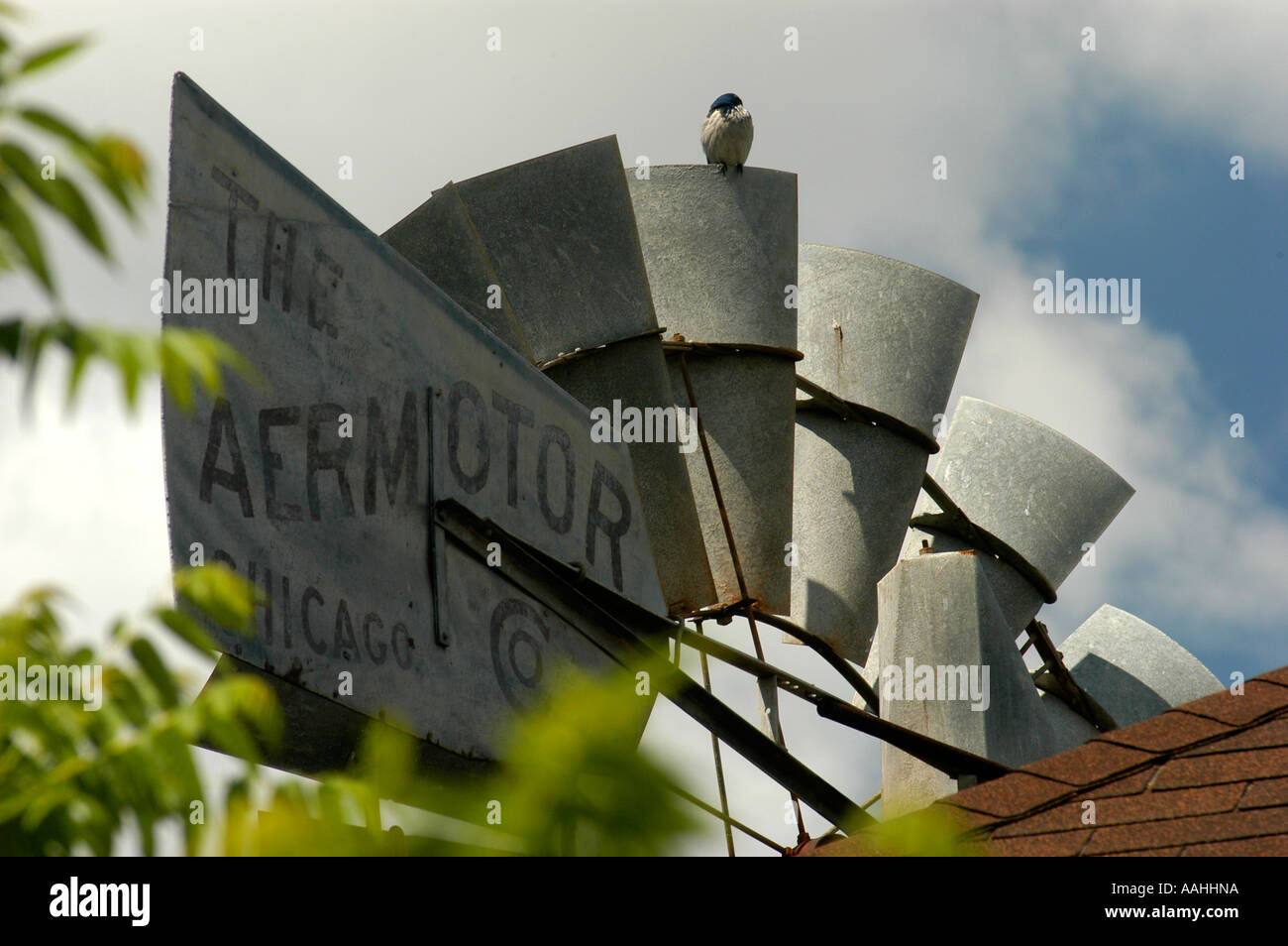 A detail view of the blades of an old Aeromotor of Chicago brand metal ...