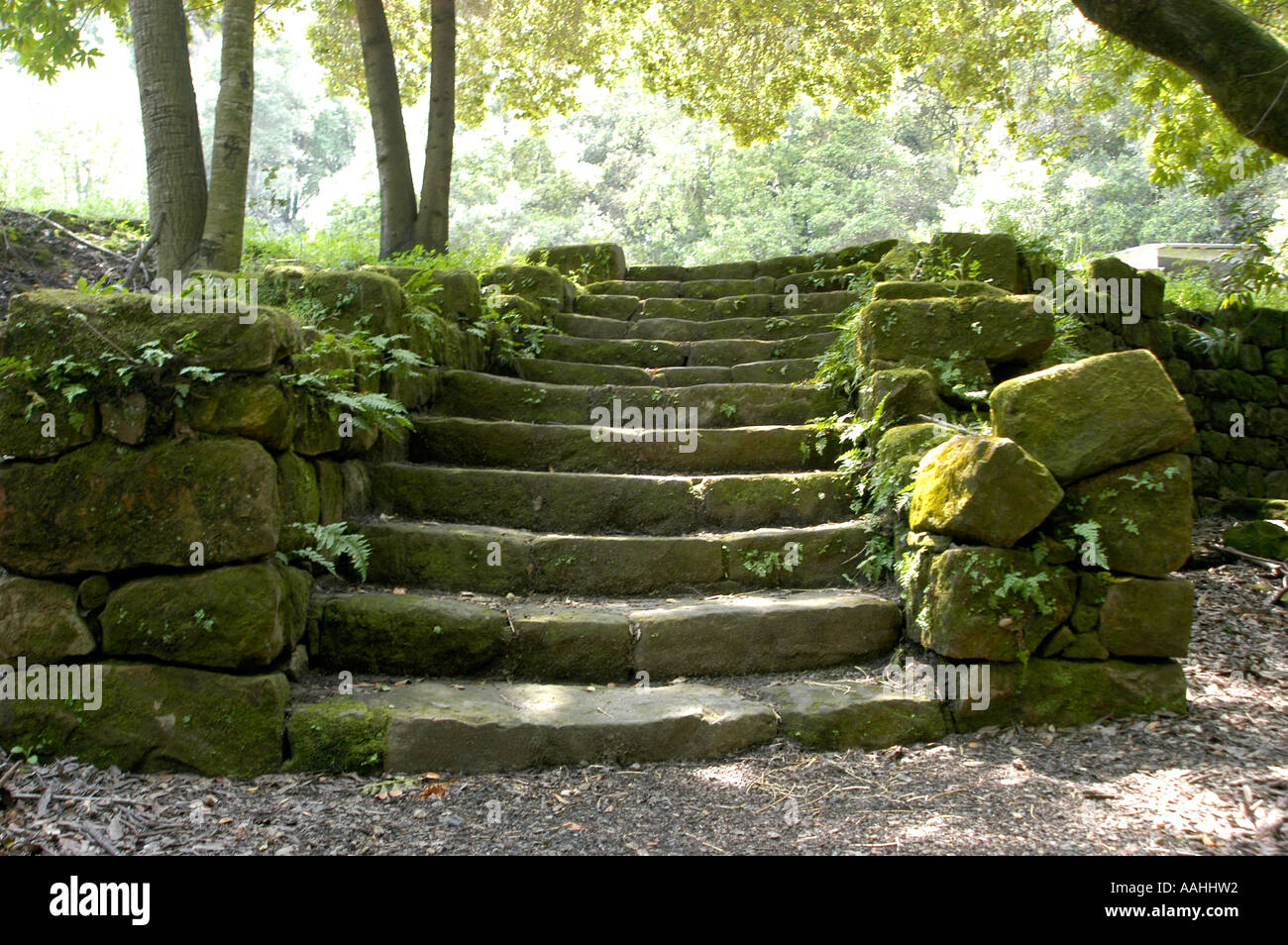 Mossy Stairs High Resolution Stock Photography and Images - Alamy