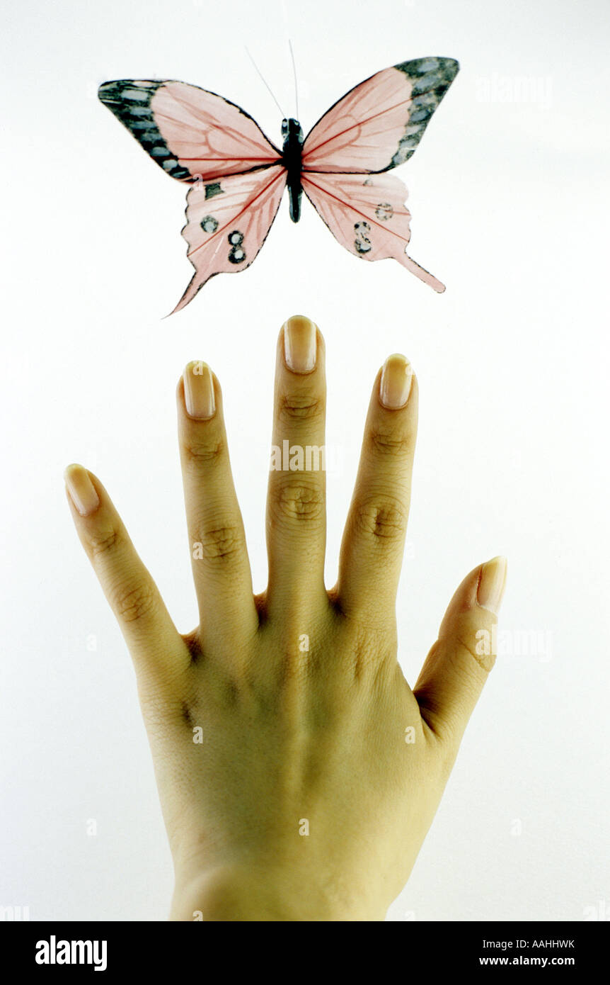 The female back of the hand Stock Photo - Alamy