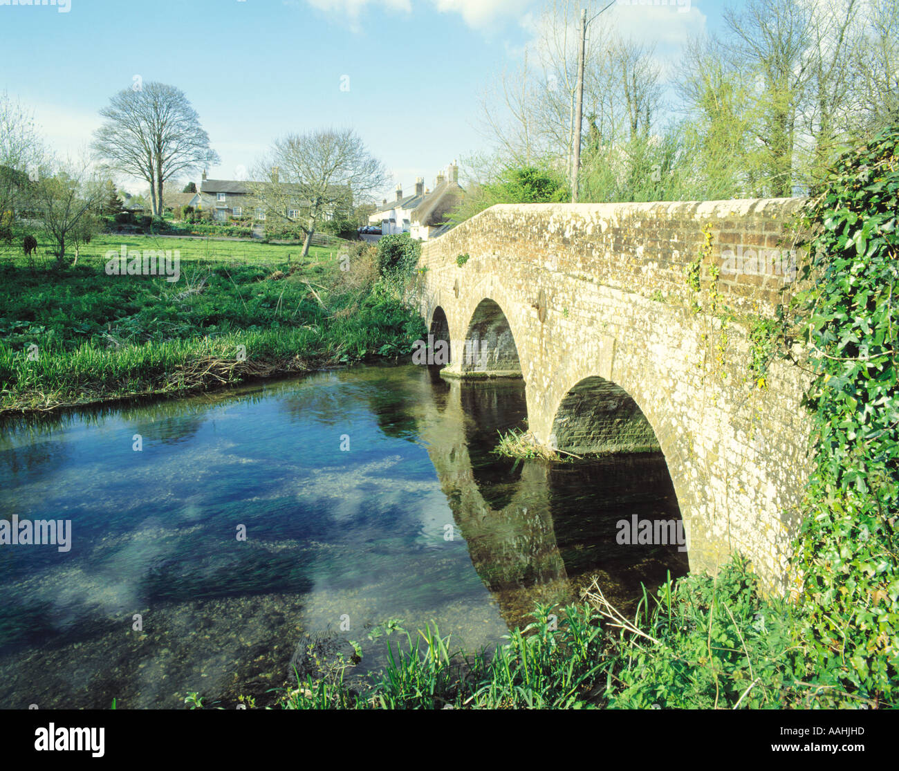 Puddletown forest hi-res stock photography and images - Alamy