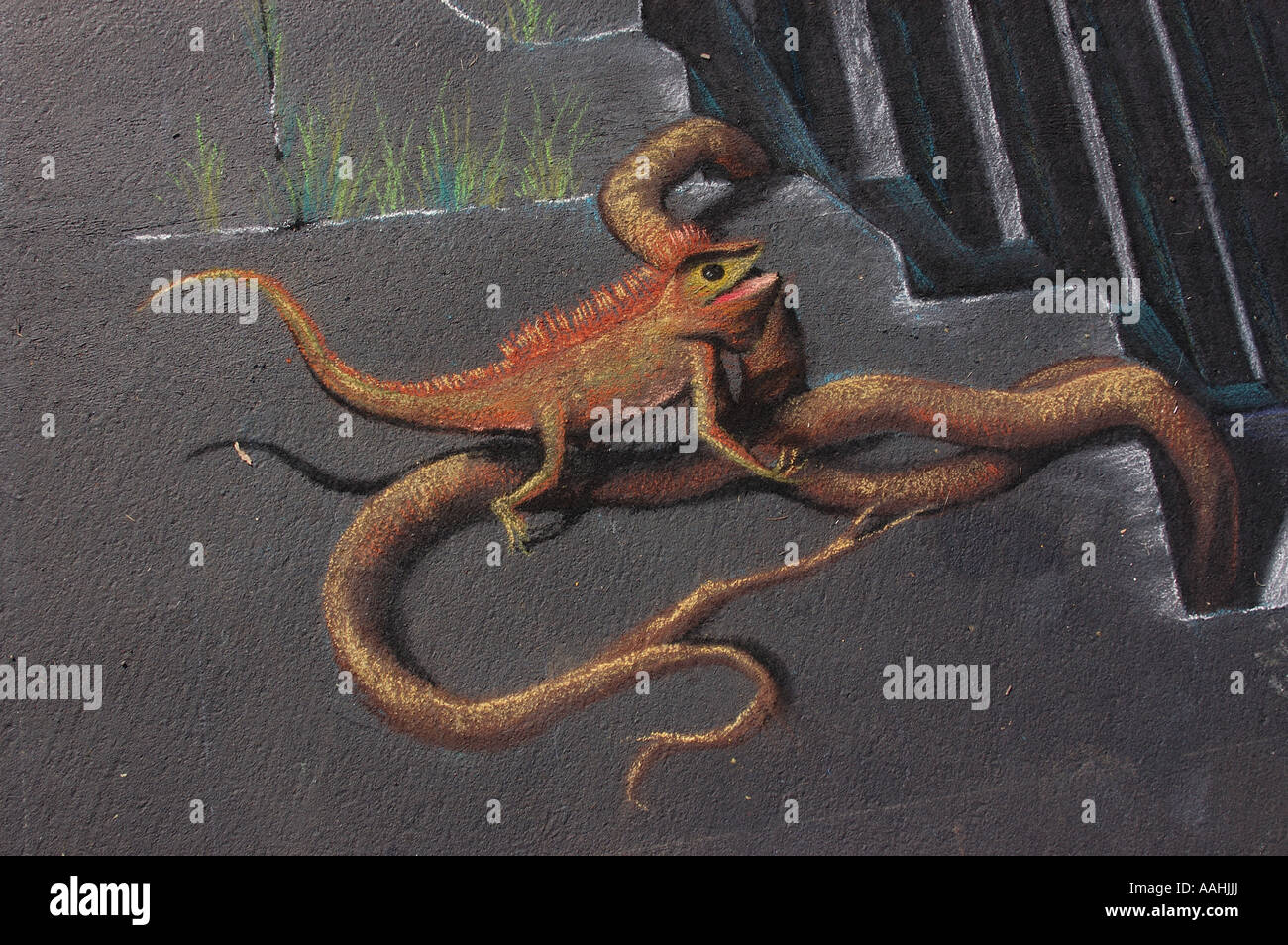 Graffiti Lizard High Resolution Stock Photography and Images - Alamy