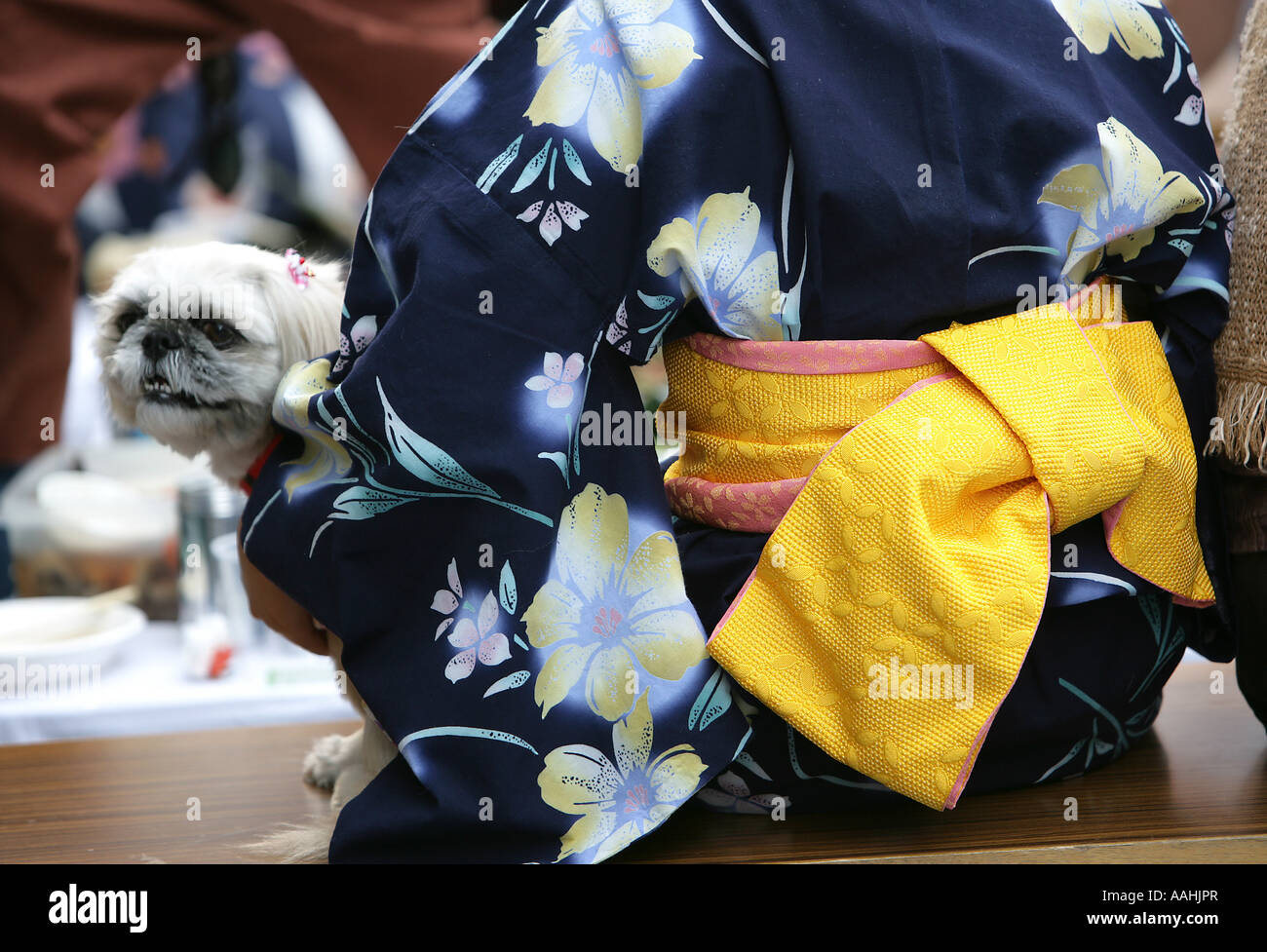 JPN Japan Tokyo dog owner japanese people are crazy about little dogs ...