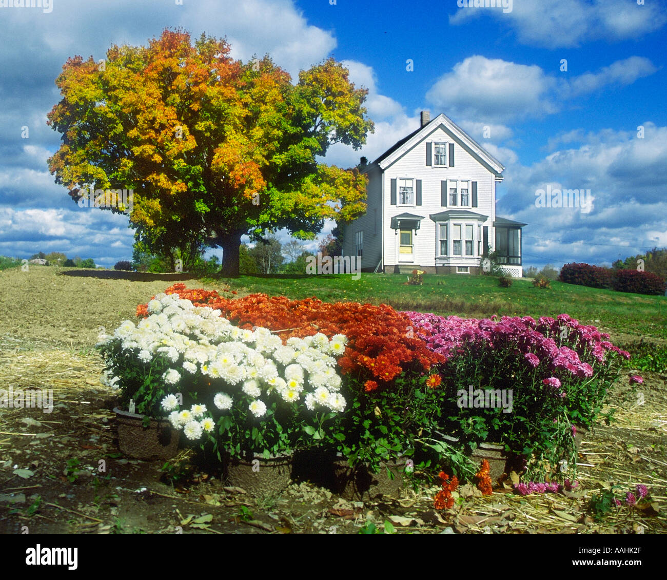 Architecture autumn colors in hi-res stock photography and images - Alamy