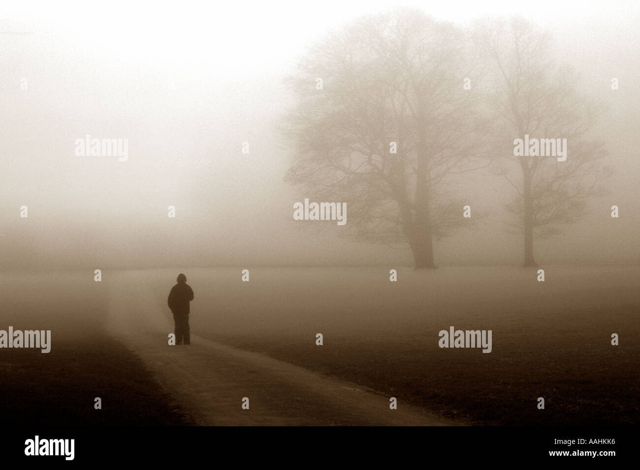 Sepia trees hi-res stock photography and images - Alamy