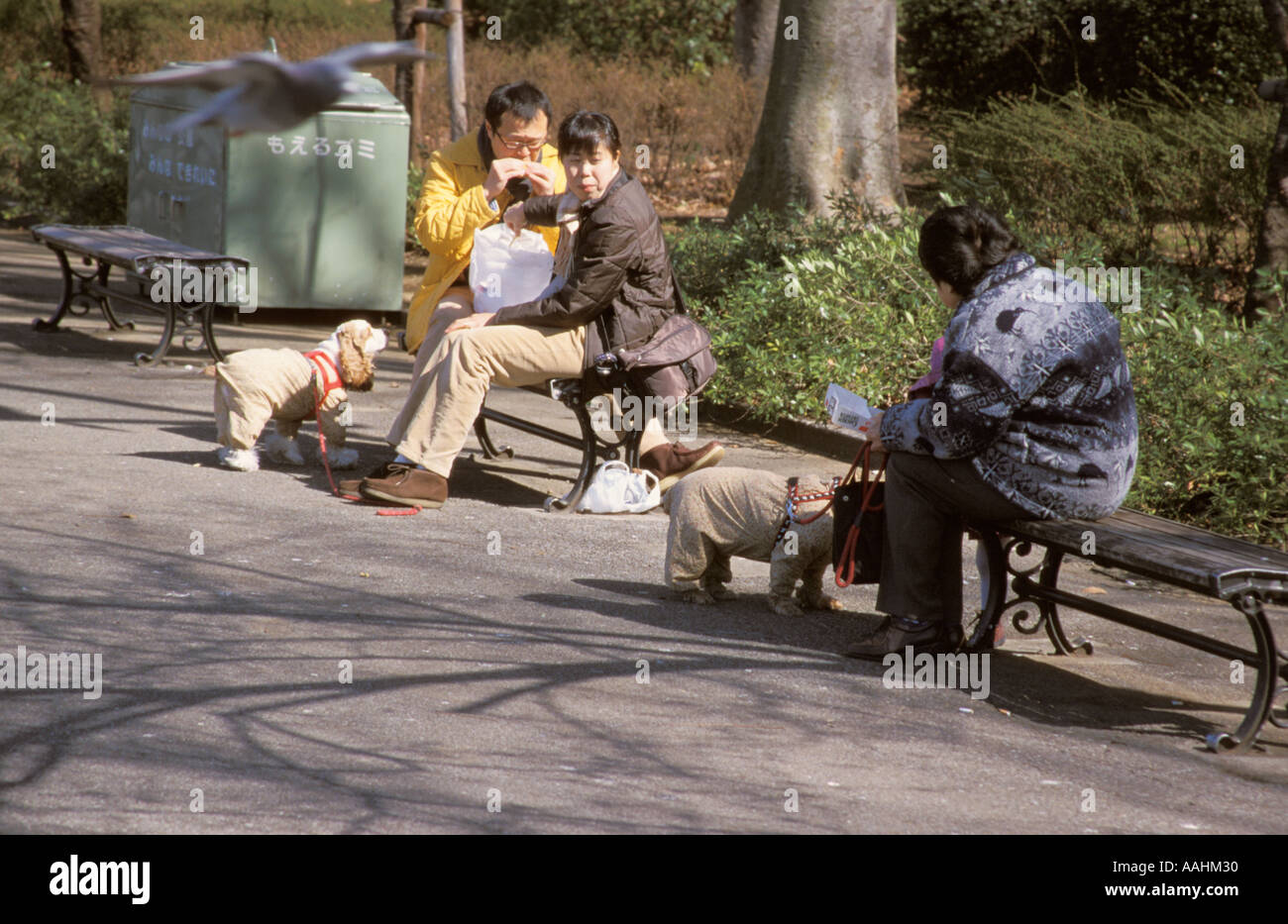 Japan Tokyo Ueno Park Families with children dogs with fleece coats on ...