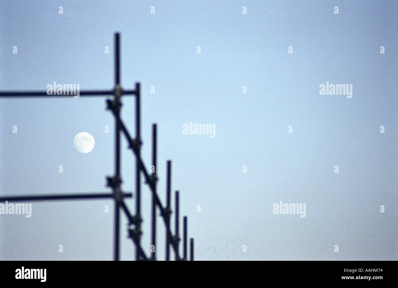 the moon through scaffolding with birds flying Stock Photo - Alamy