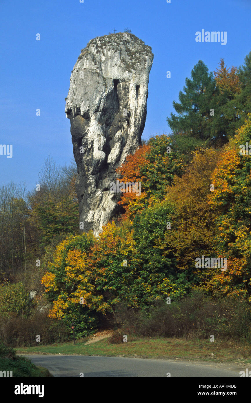 Maczuga Herkulesa rock in Ojcow National Park Poland Stock Photo - Alamy