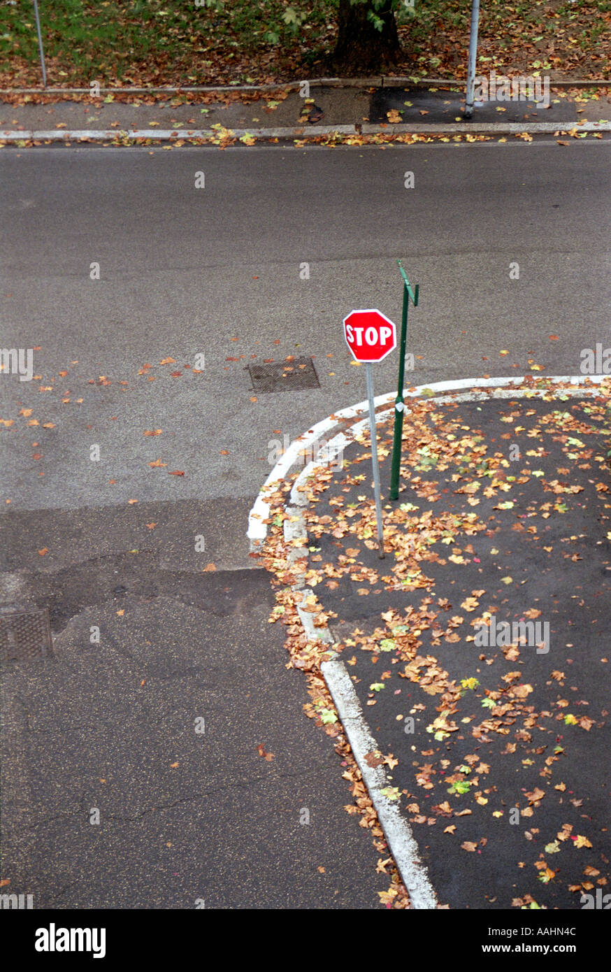 stop sign on road covered with leaves aerial view Stock Photo - Alamy