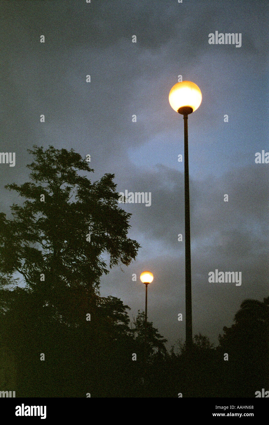 two lit lamp posts at night with tree Stock Photo - Alamy