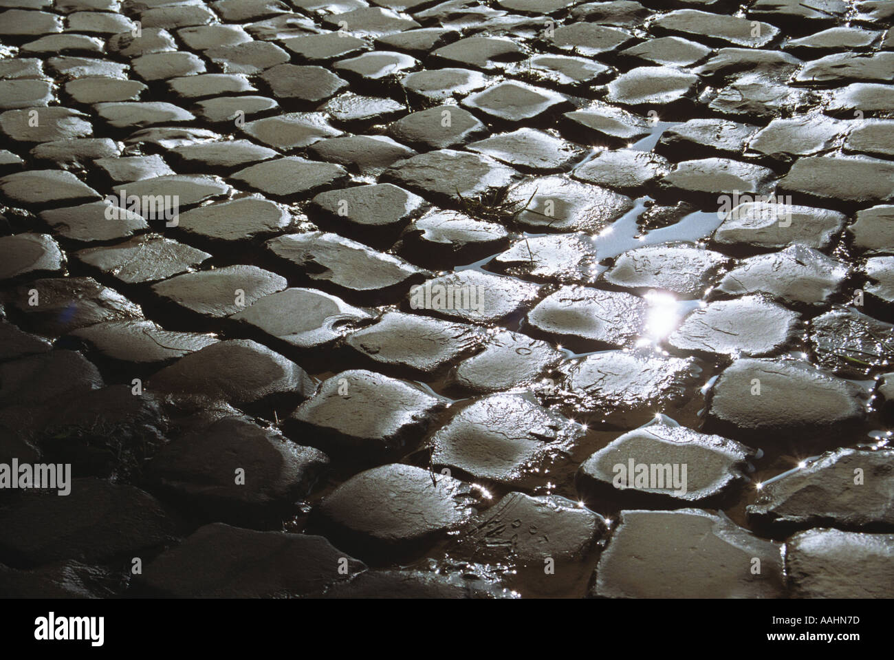 Muddy street italy hi-res stock photography and images - Alamy