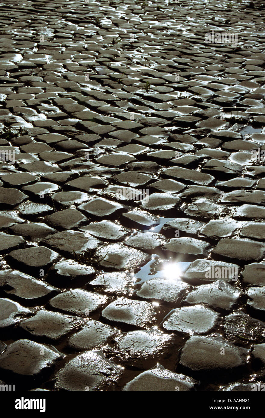 Muddy street italy hi-res stock photography and images - Alamy