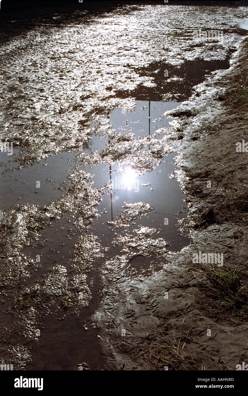 Sunset reflected in wet mud hi-res stock photography and images - Alamy