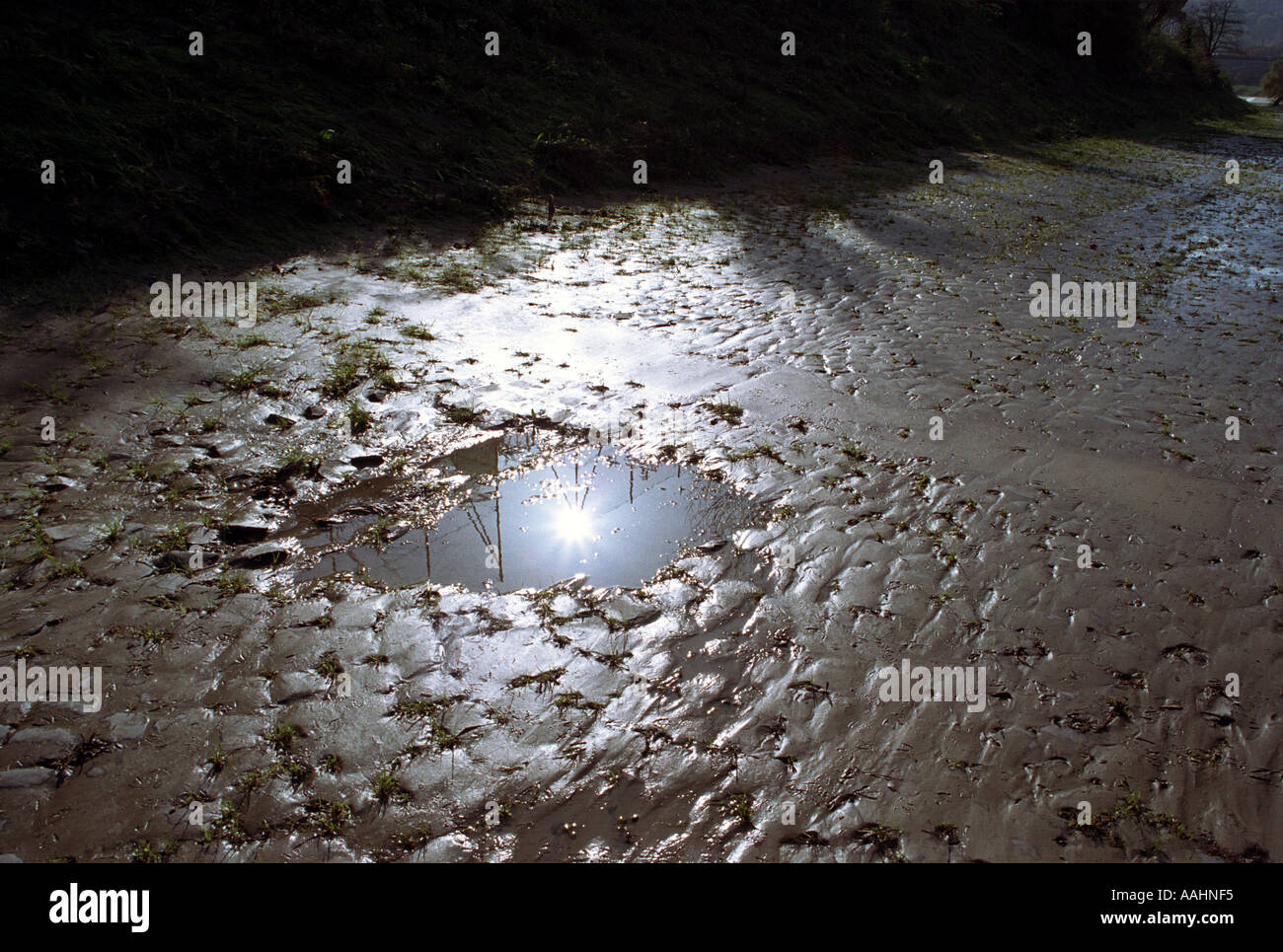 sun reflected in puddle on muddy path in countryside Stock Photo - Alamy