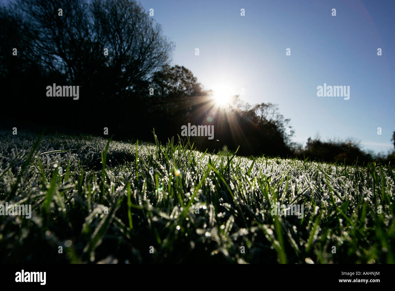 The morning sun rising over a frosty grass field Stock Photo - Alamy