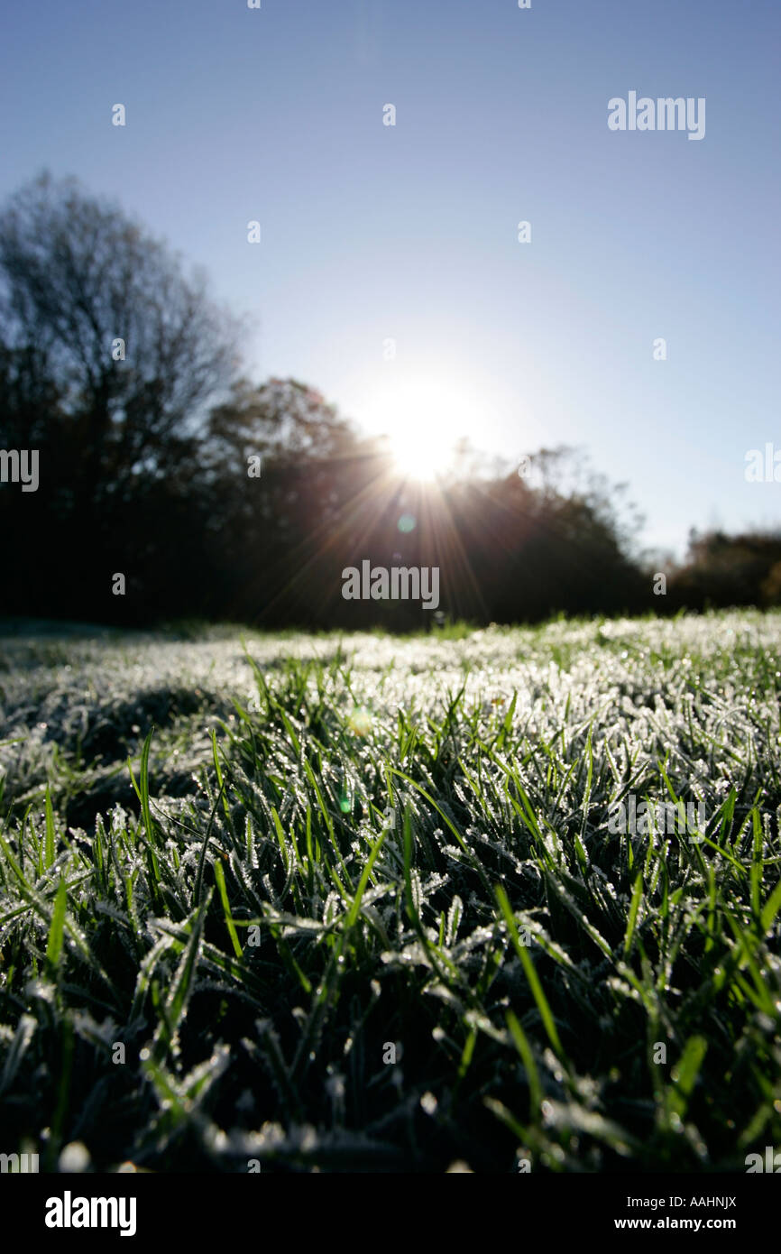 The morning sun rising over a frosty grass field Stock Photo - Alamy