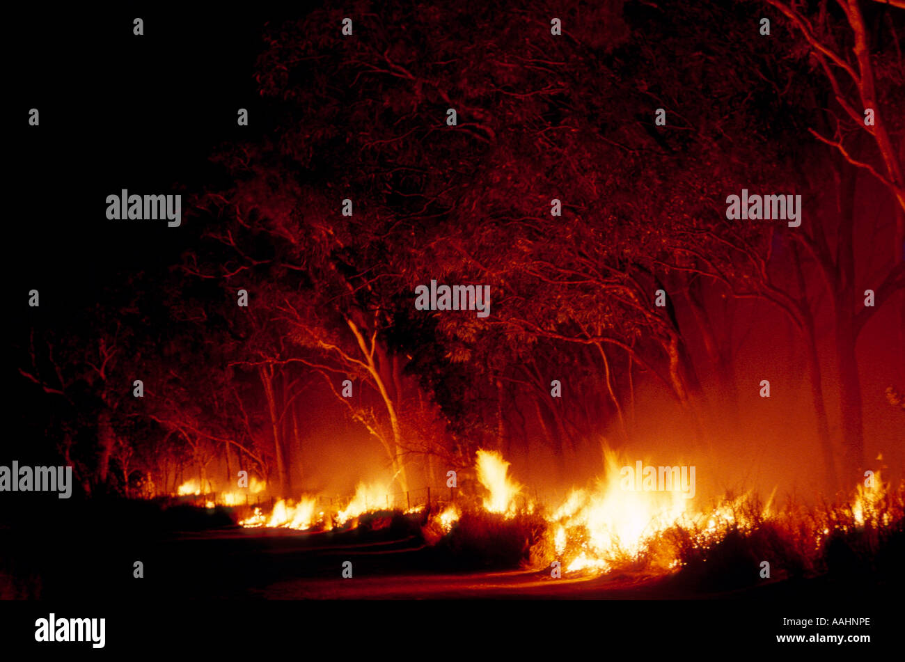 Aboriginal controlled burn australia hi-res stock photography and ...