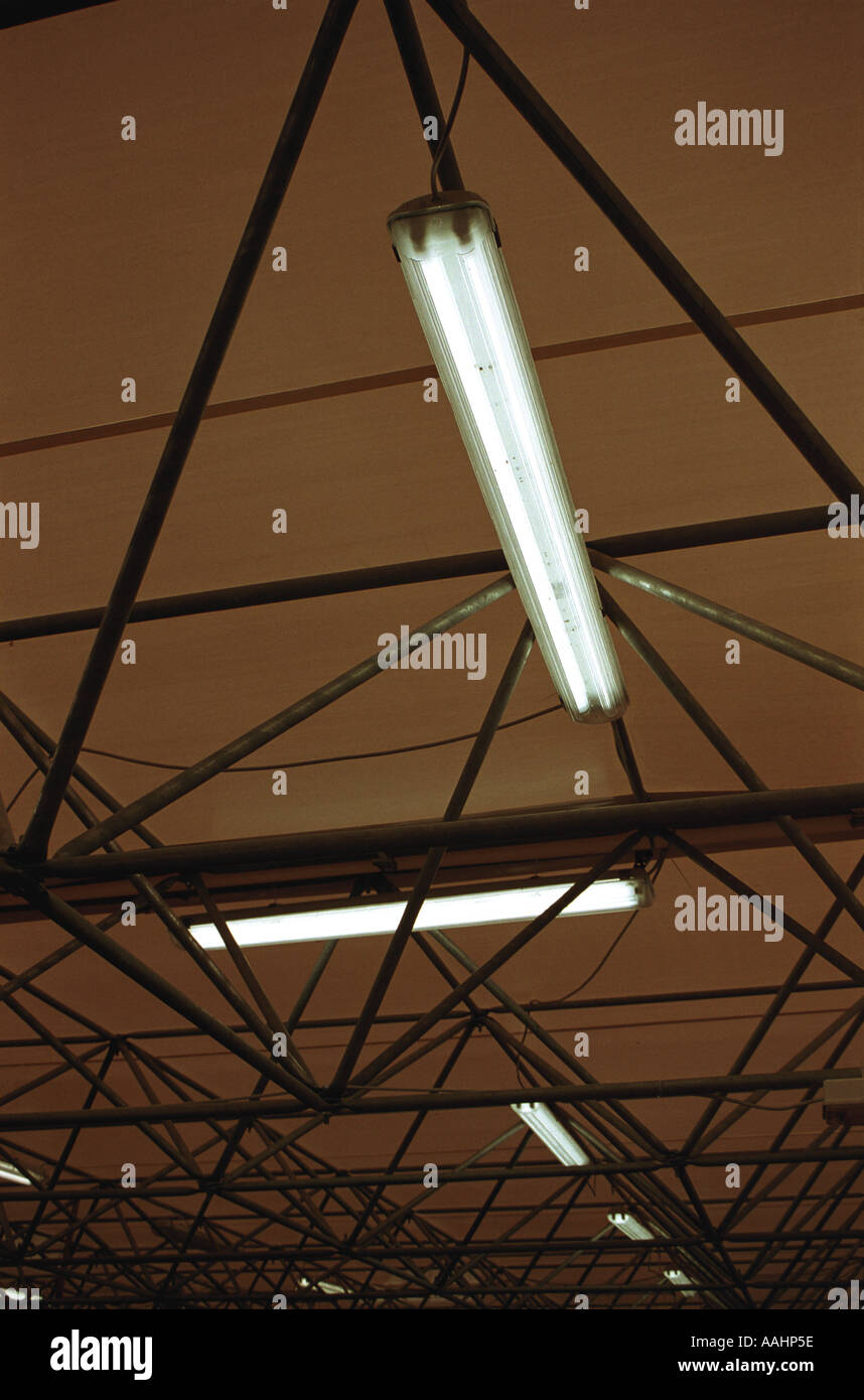 three fluorescent lighting strips with metal framework Stock Photo - Alamy