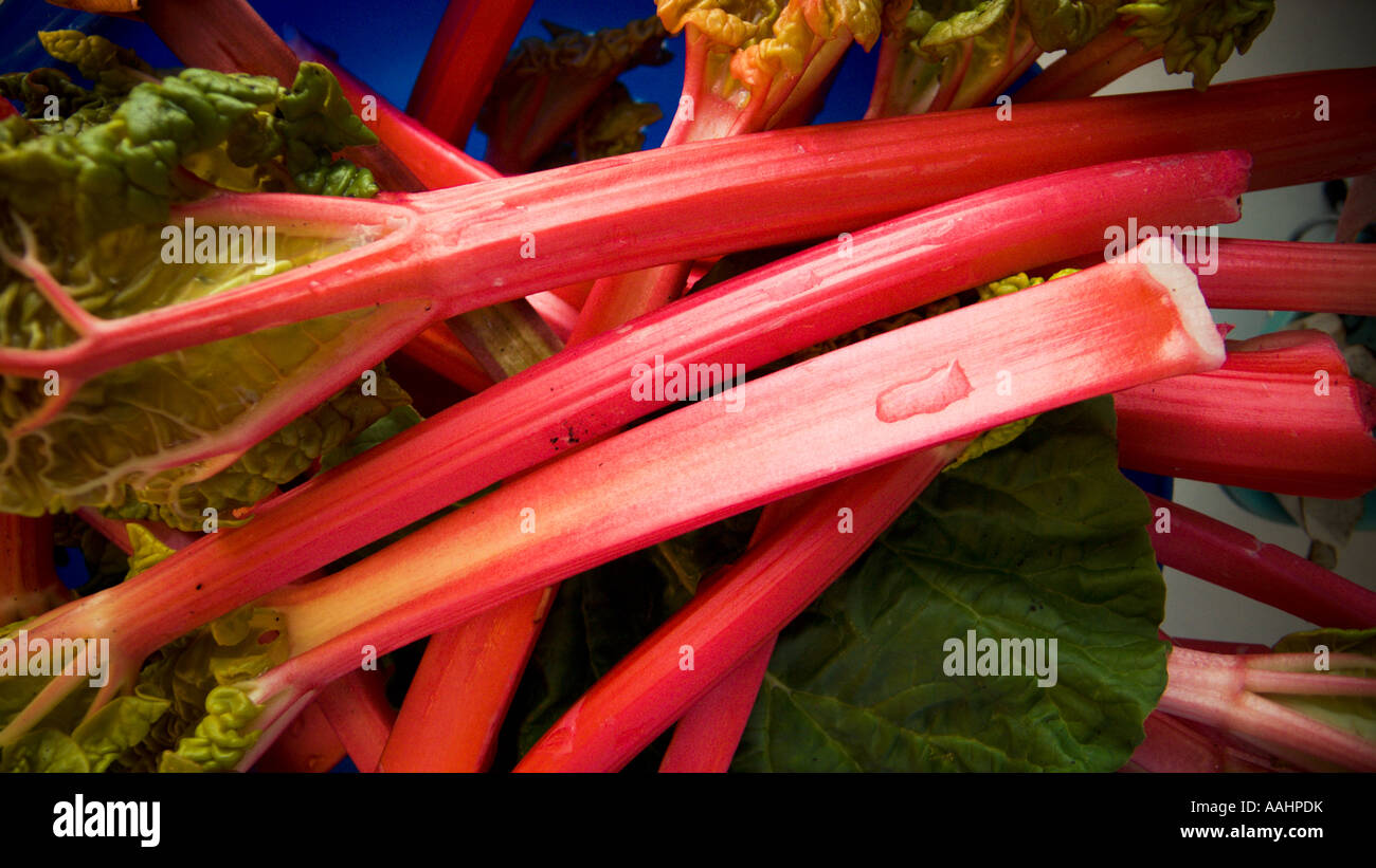 A pile of freshly cut rhubarb Stock Photo - Alamy