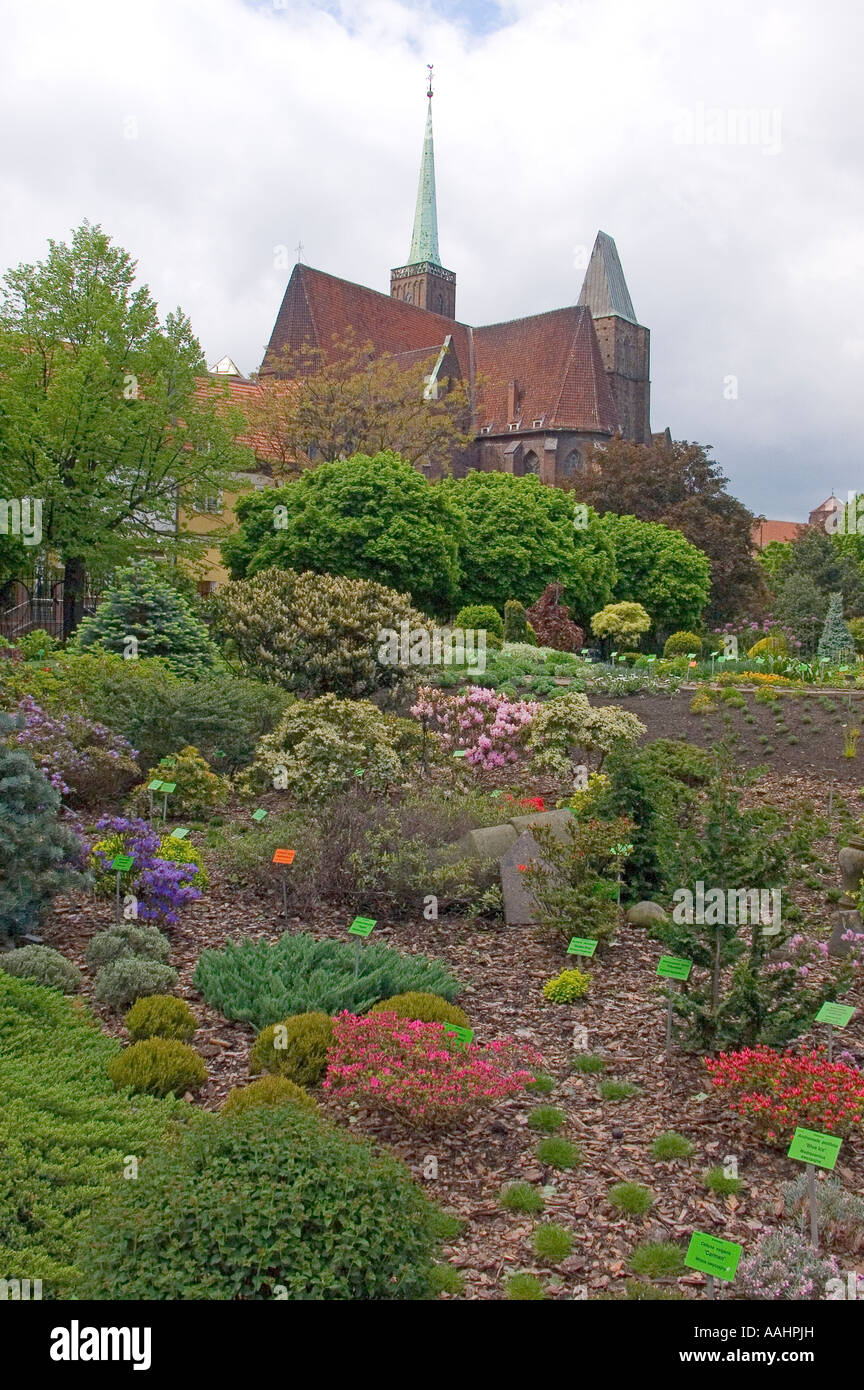 Botanical Garden in the springtime Ogród Botaniczny Wroclaw Lower ...
