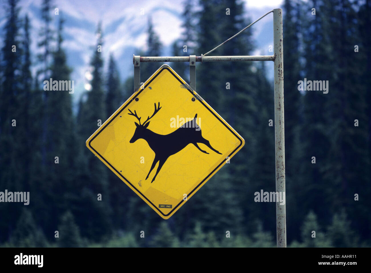 Deer warning sign in Rocky Mountain National Park Canada JMH0640 Stock ...