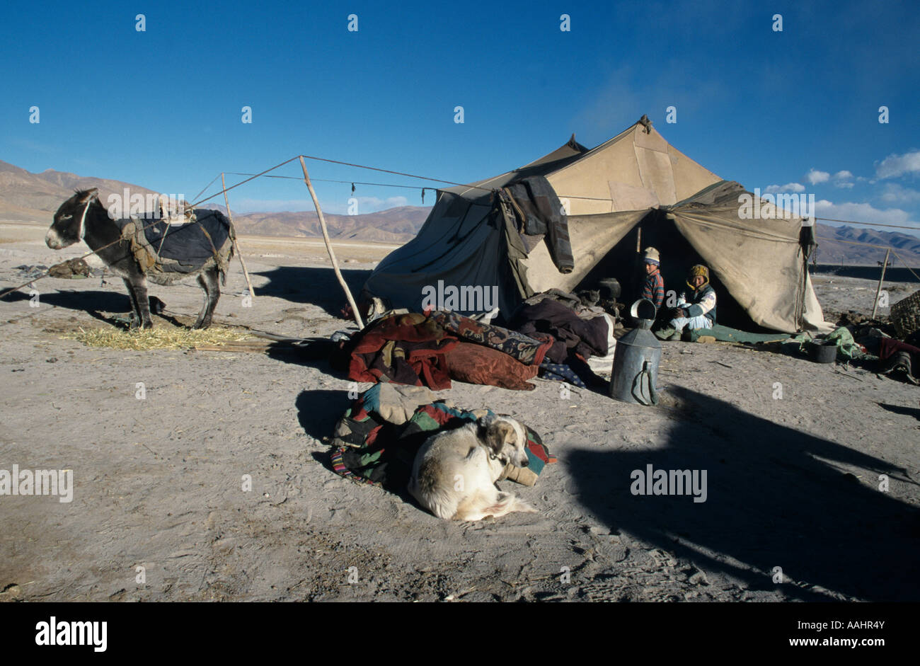 Tibetan nomads rest in their tent hi-res stock photography and images ...
