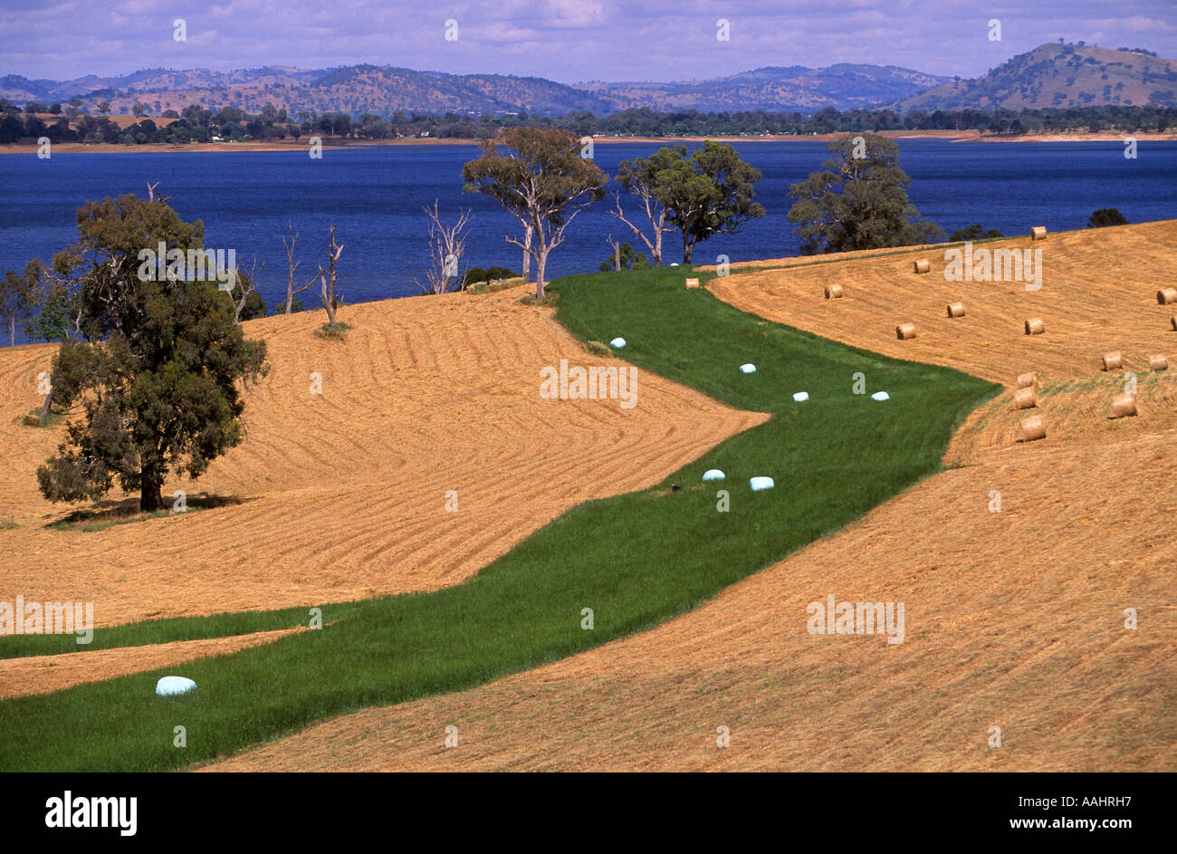 Freshly mown hay paddock, Australia Stock Photo - Alamy