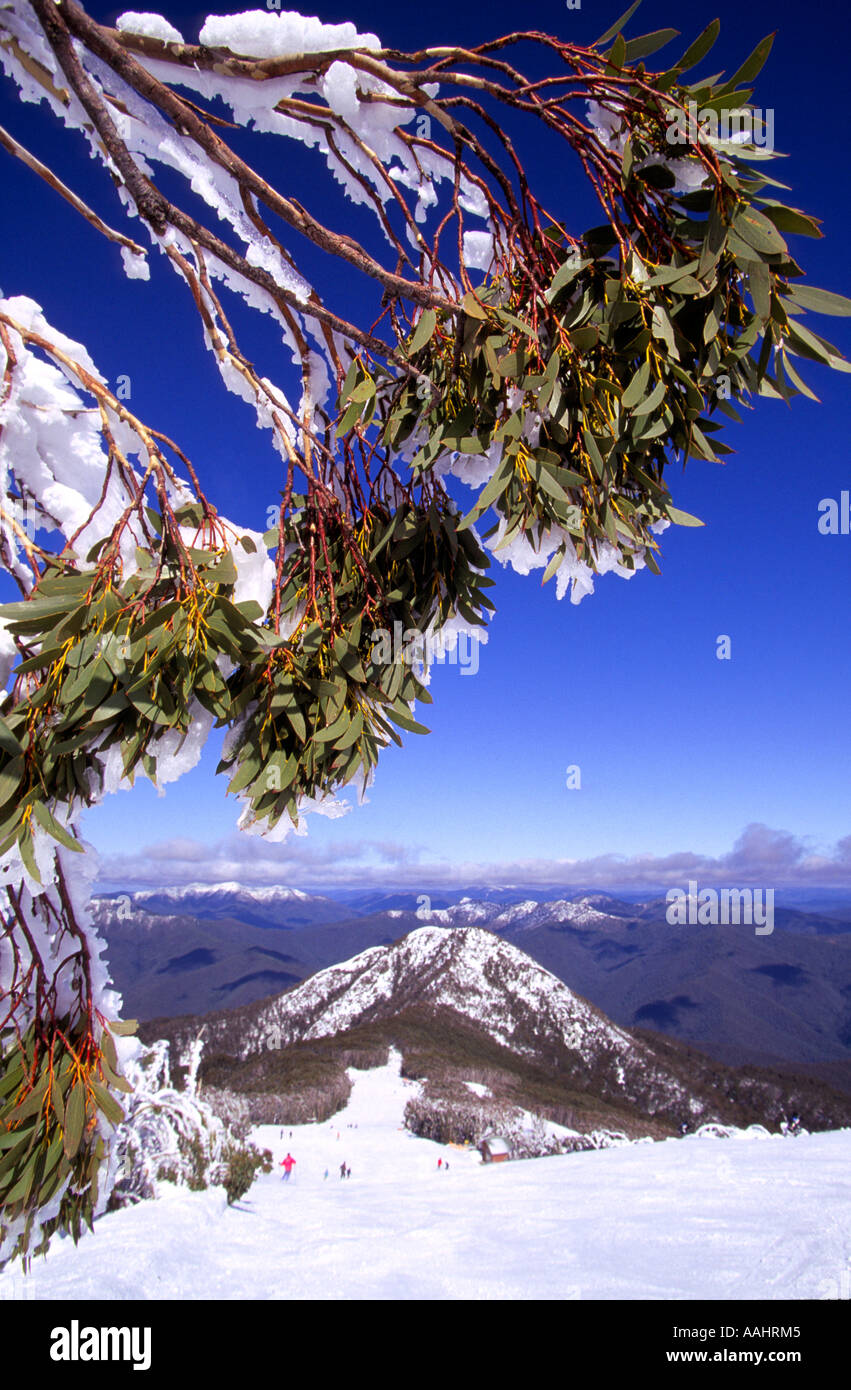 Australian alpine terrain hi-res stock photography and images - Alamy