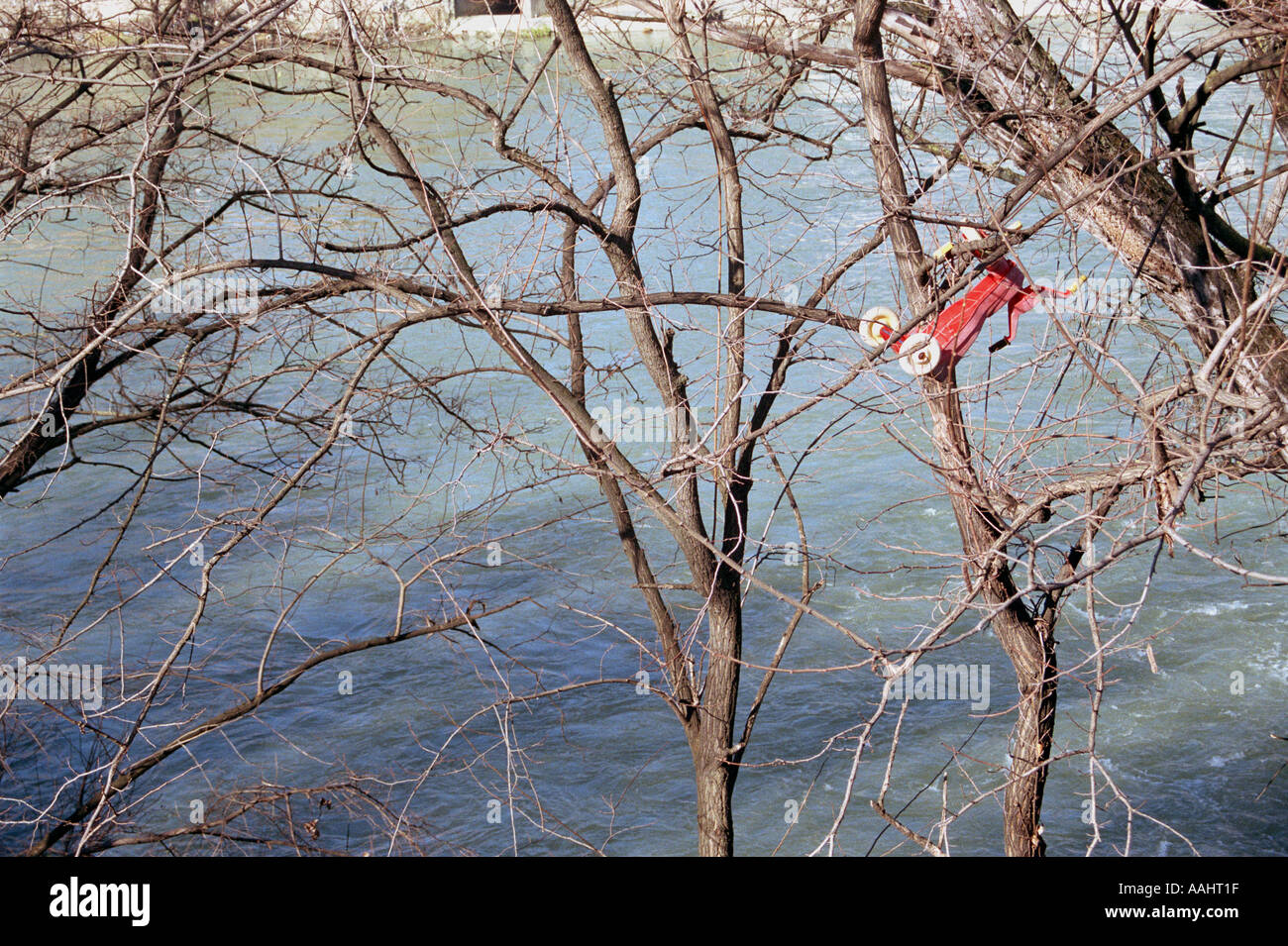 Child stuck up tree hi-res stock photography and images - Alamy