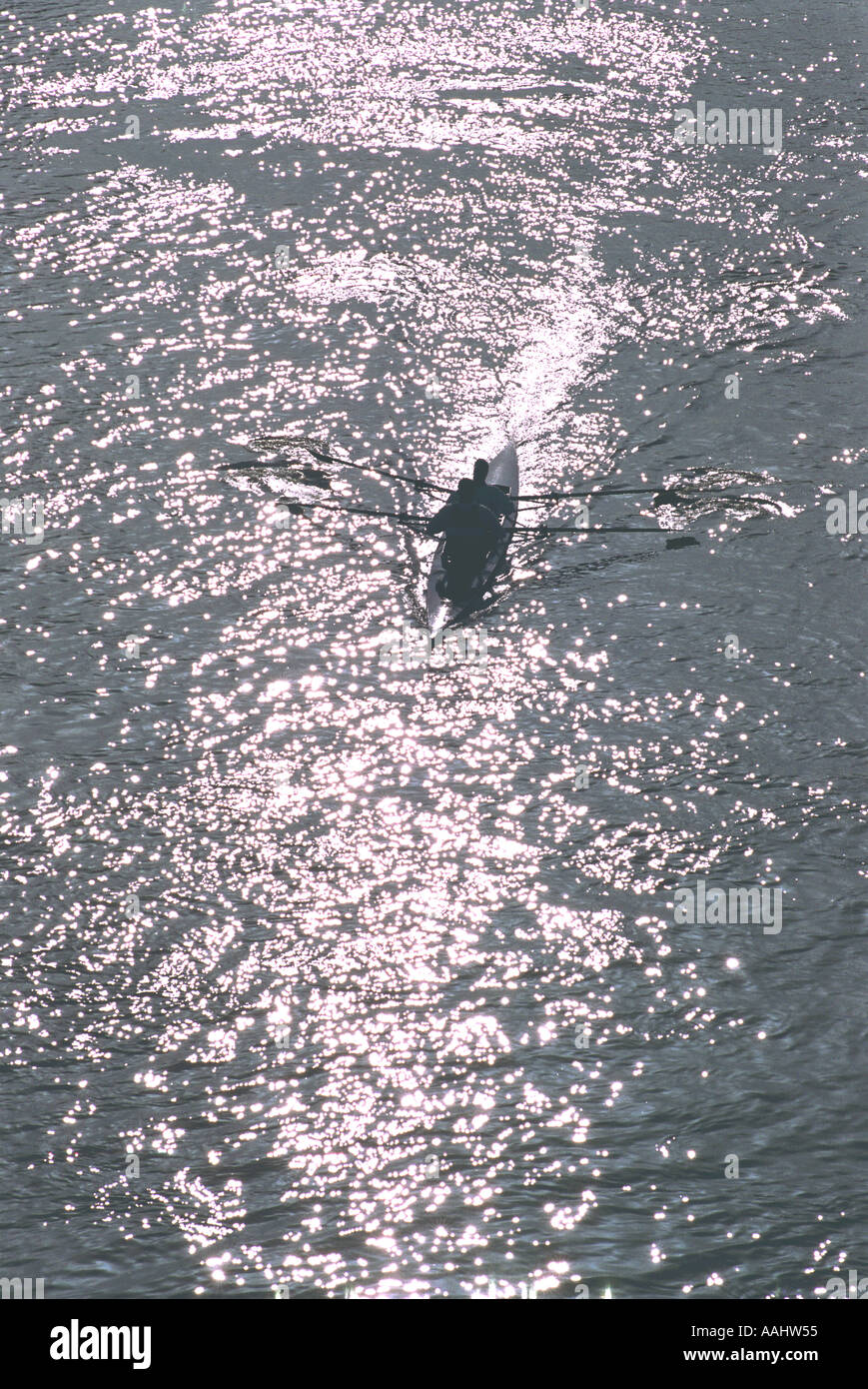 two man team rowing on river silhouette Stock Photo - Alamy