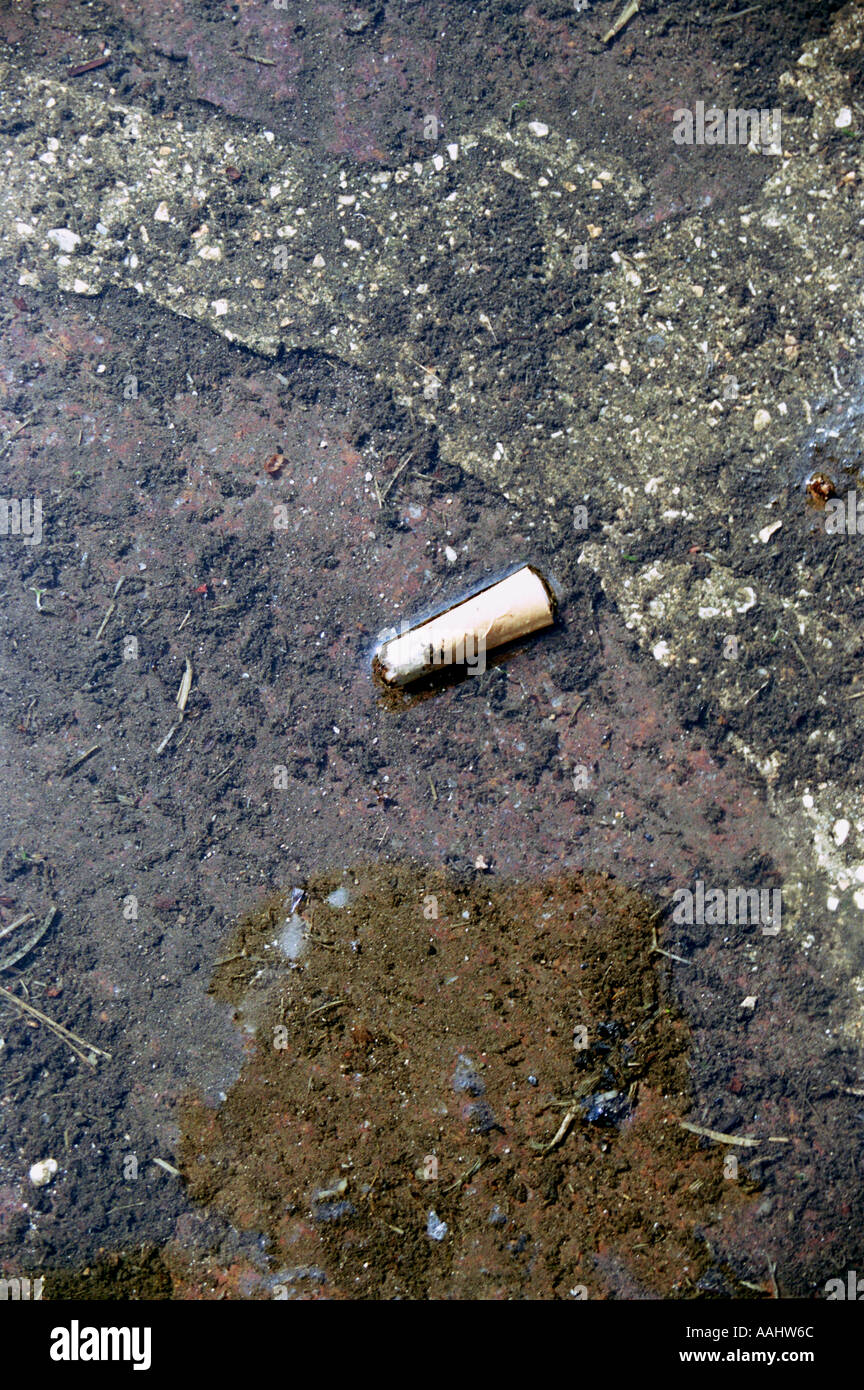 cigarette stub on dirty pavement Stock Photo - Alamy