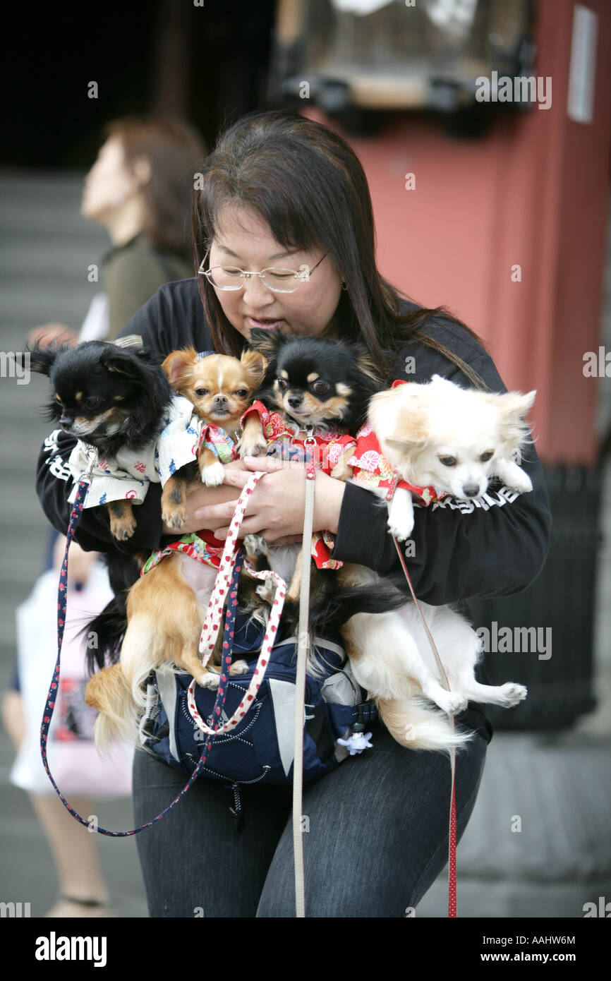 Do Japanese Have Dogs As Pets