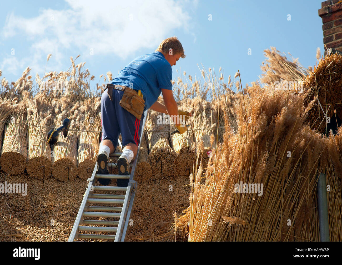 Cottage in Repton being thatched Stock Photo - Alamy