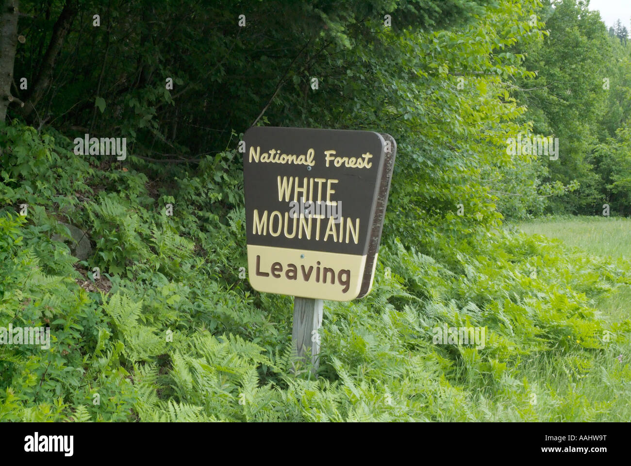 White Mountain National Forest sign in New Hampshire USA Stock Photo ...